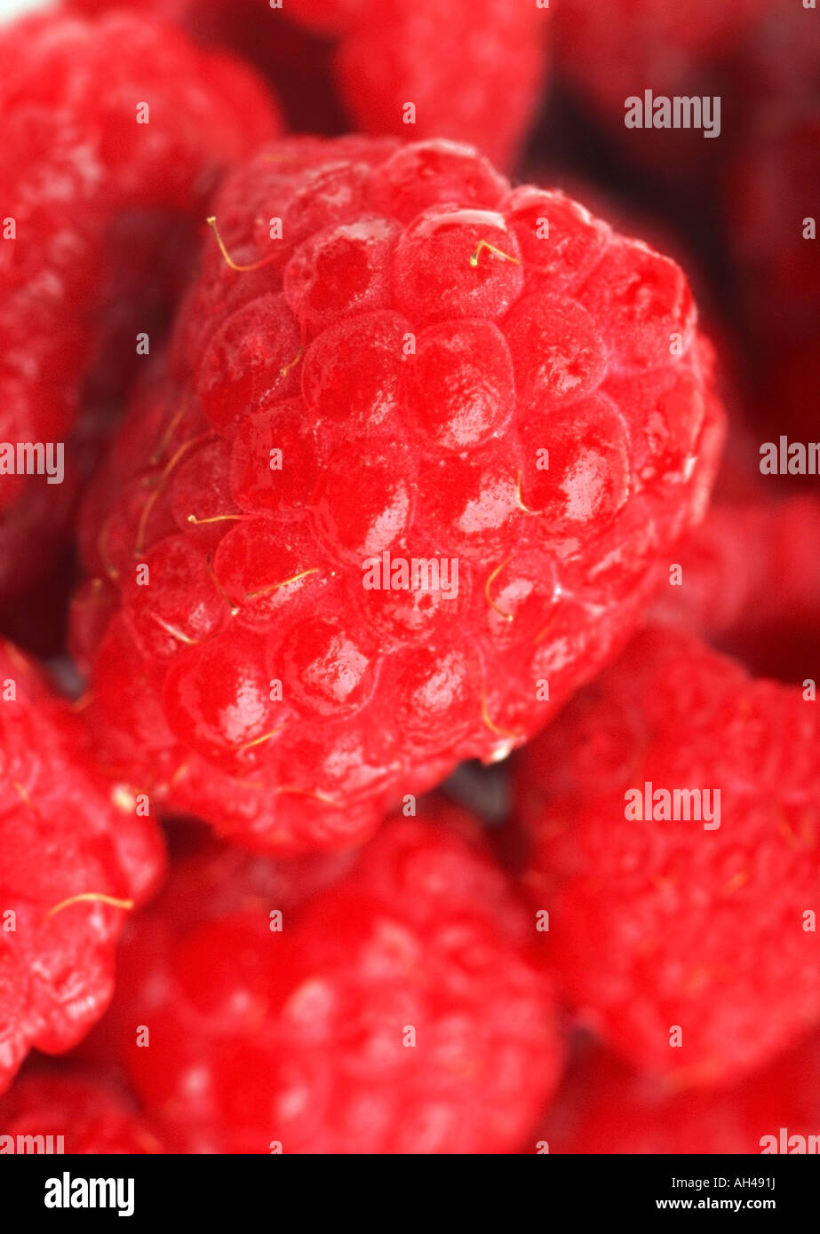 Close up of raspberries Stock Photo - Alamy