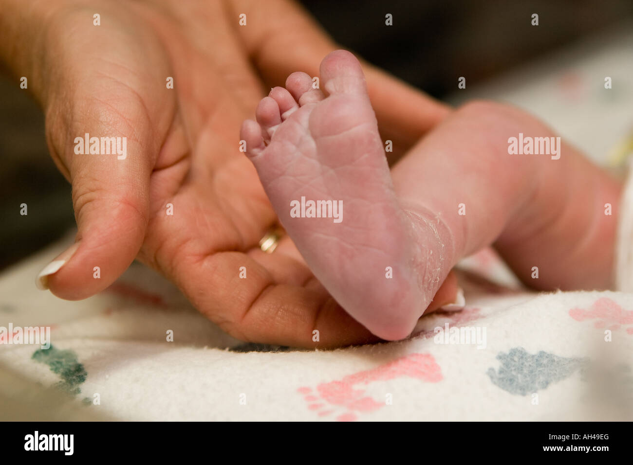 Mother holding infants foot Stock Photo - Alamy