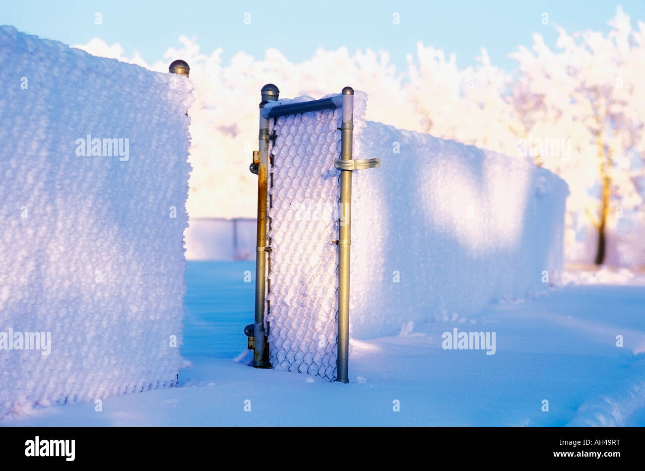 Snowy fence with gate open Stock Photo - Alamy