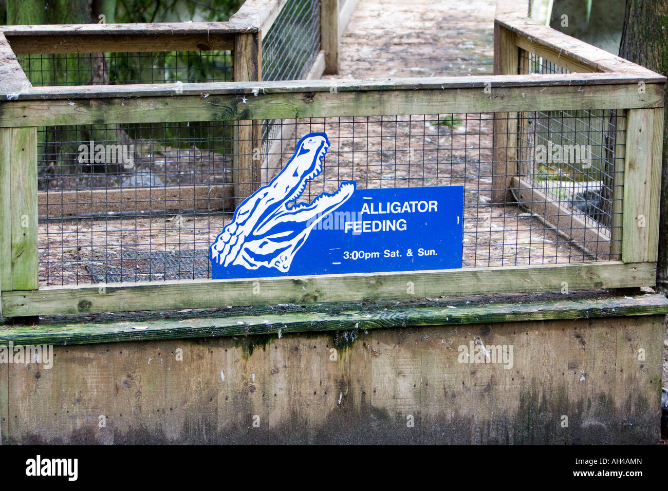 Alligator Feeding Sign Stock Photo - Alamy