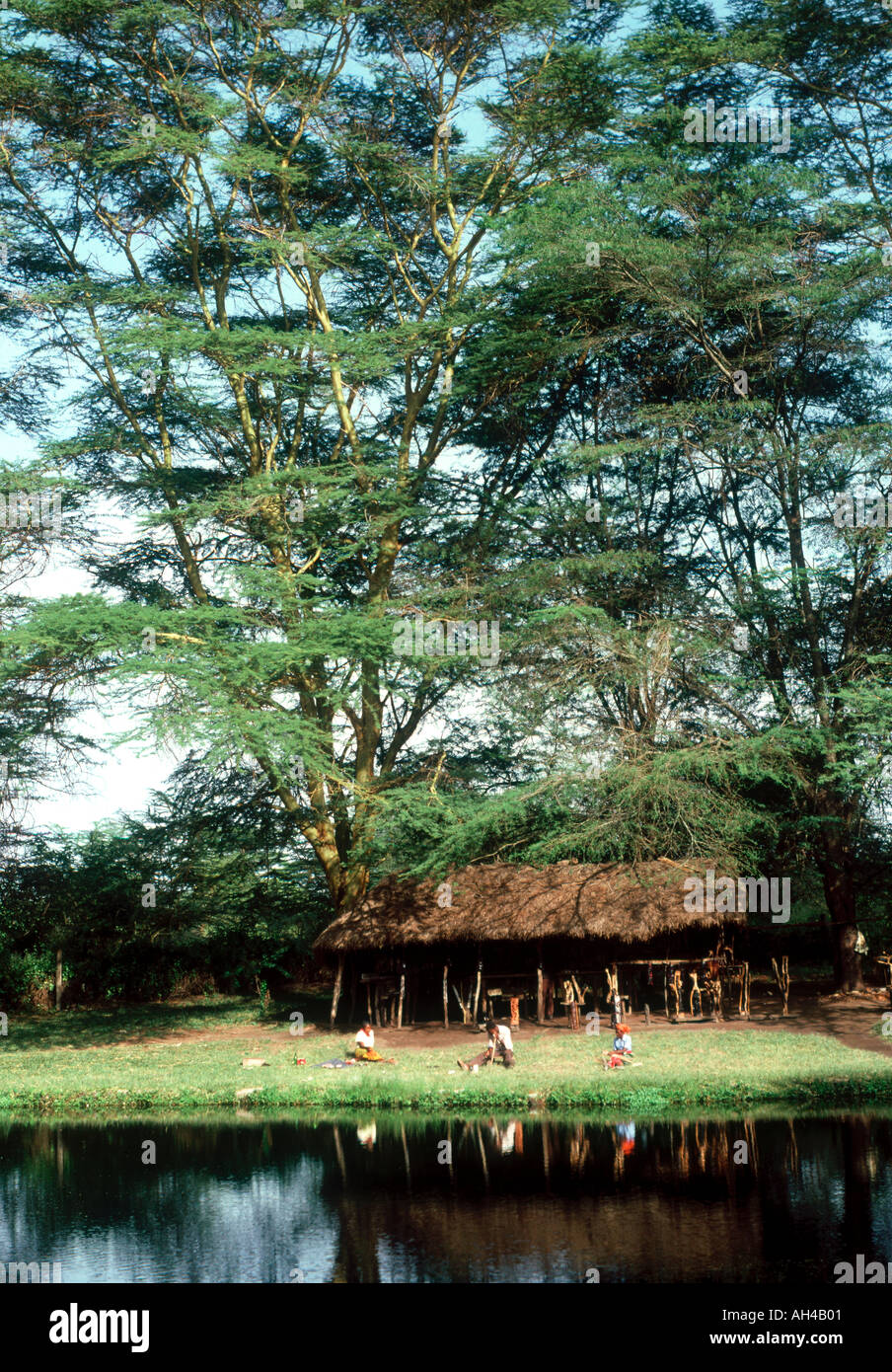 KENYA HUNTING LODGE THORN TREE Stock Photo - Alamy