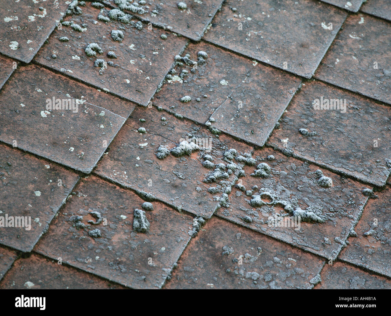 Frost on roof tiles hi-res stock photography and images - Alamy