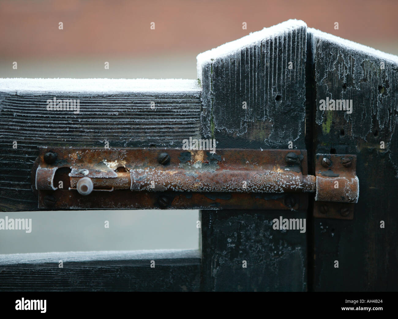 WINTER FROST ON GARDEN GATE Stock Photo - Alamy