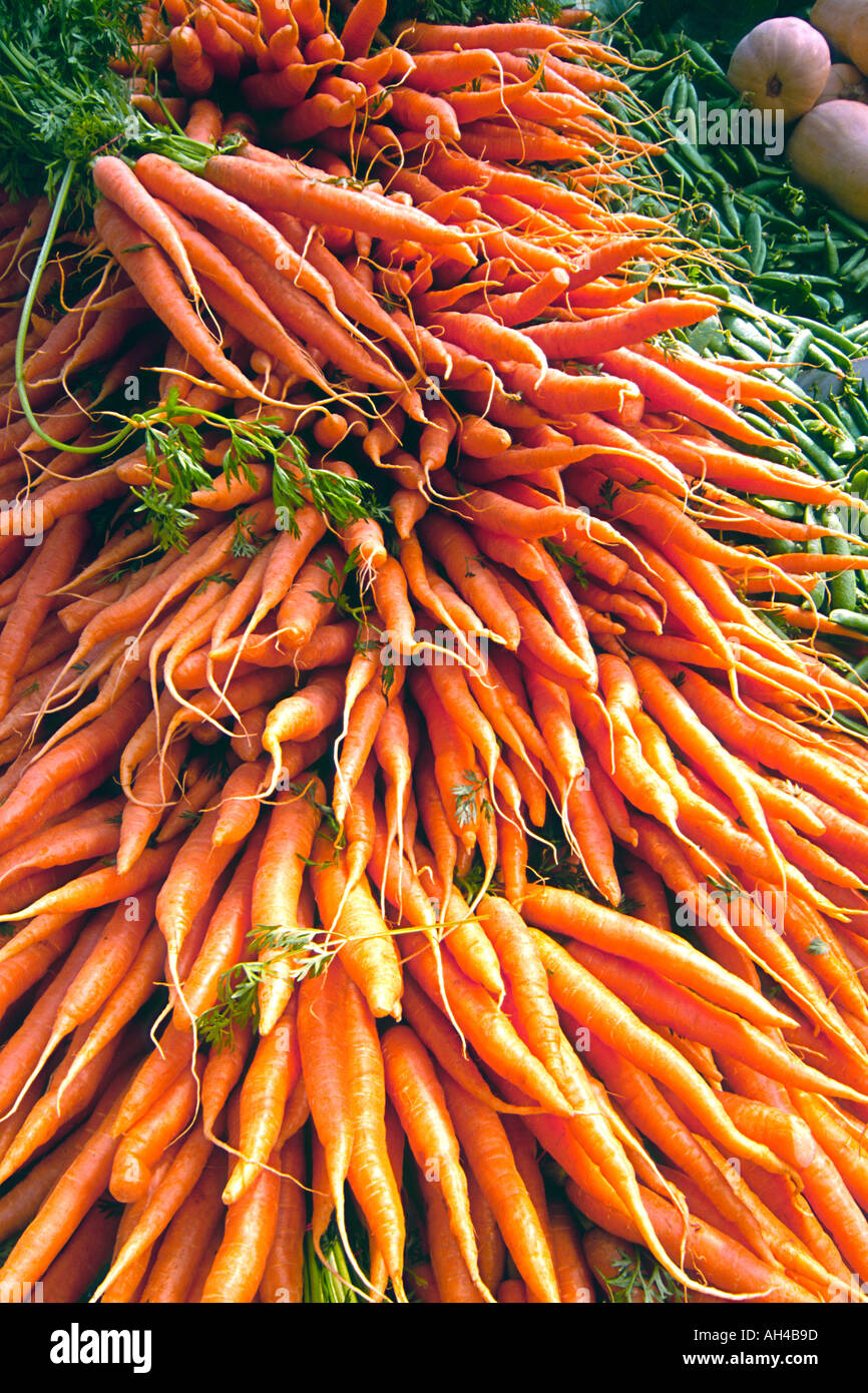 Bunches of carrots in a market stall Stock Photo - Alamy