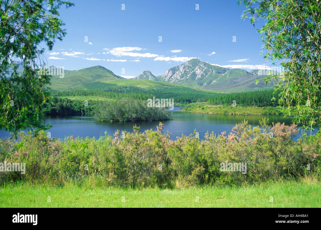 The Garden Route dam near George in the Western Cape Province of South ...
