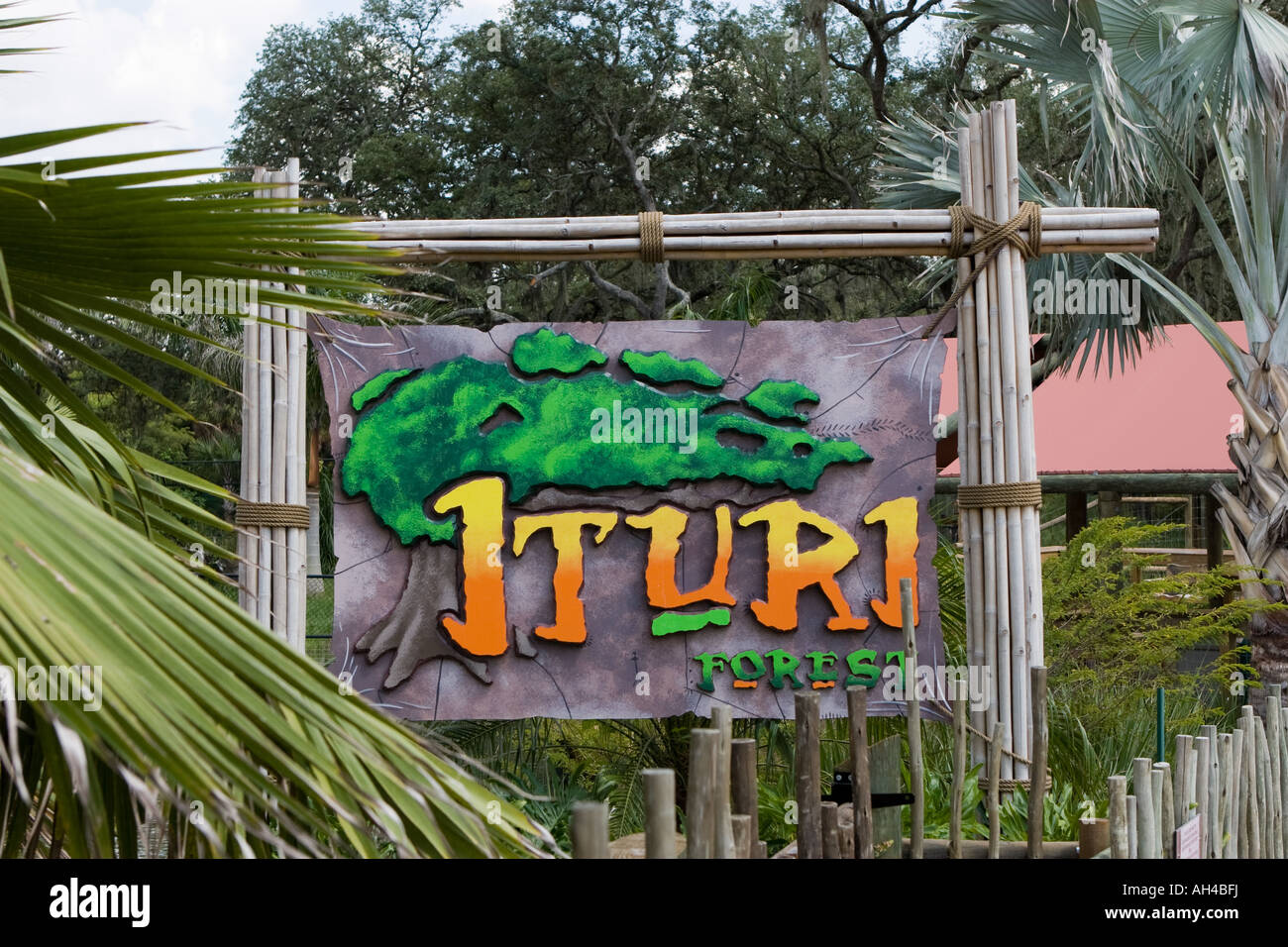 Ituri forest hi-res stock photography and images - Alamy