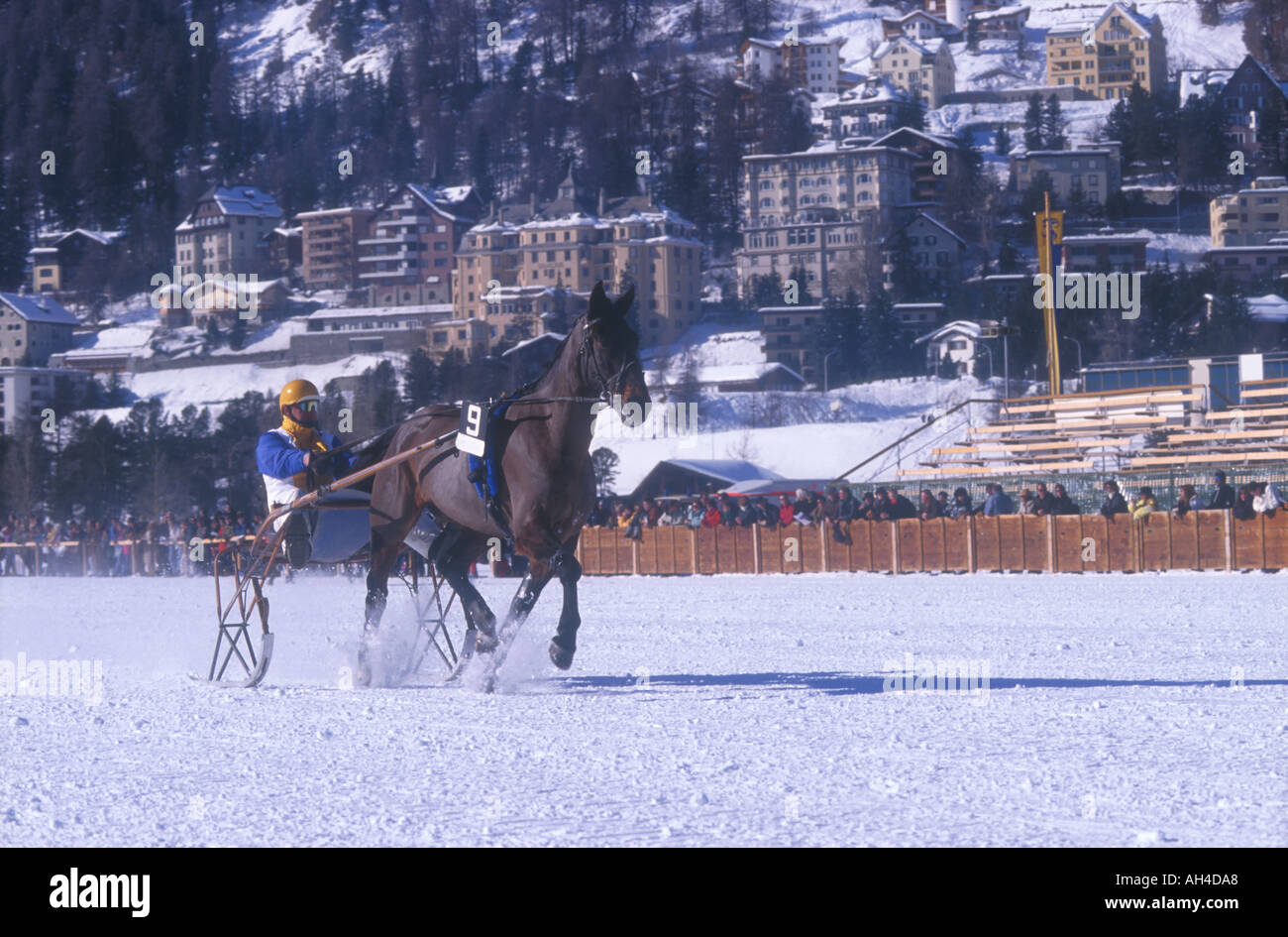 jockey on a race snow buggy at training his horse White Turf events St ...