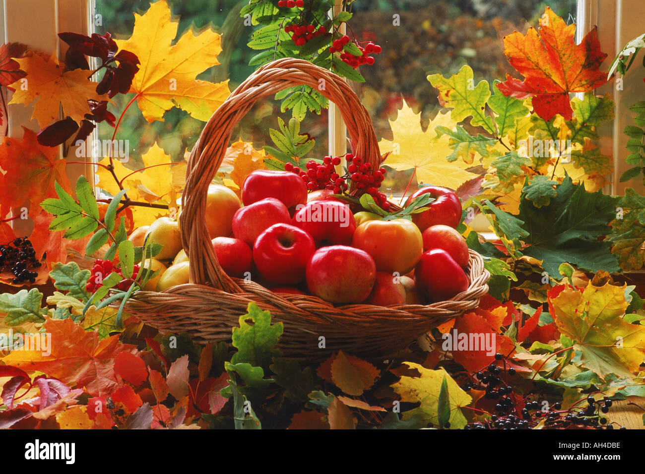 Abundance of colors in autumn hi-res stock photography and images - Alamy