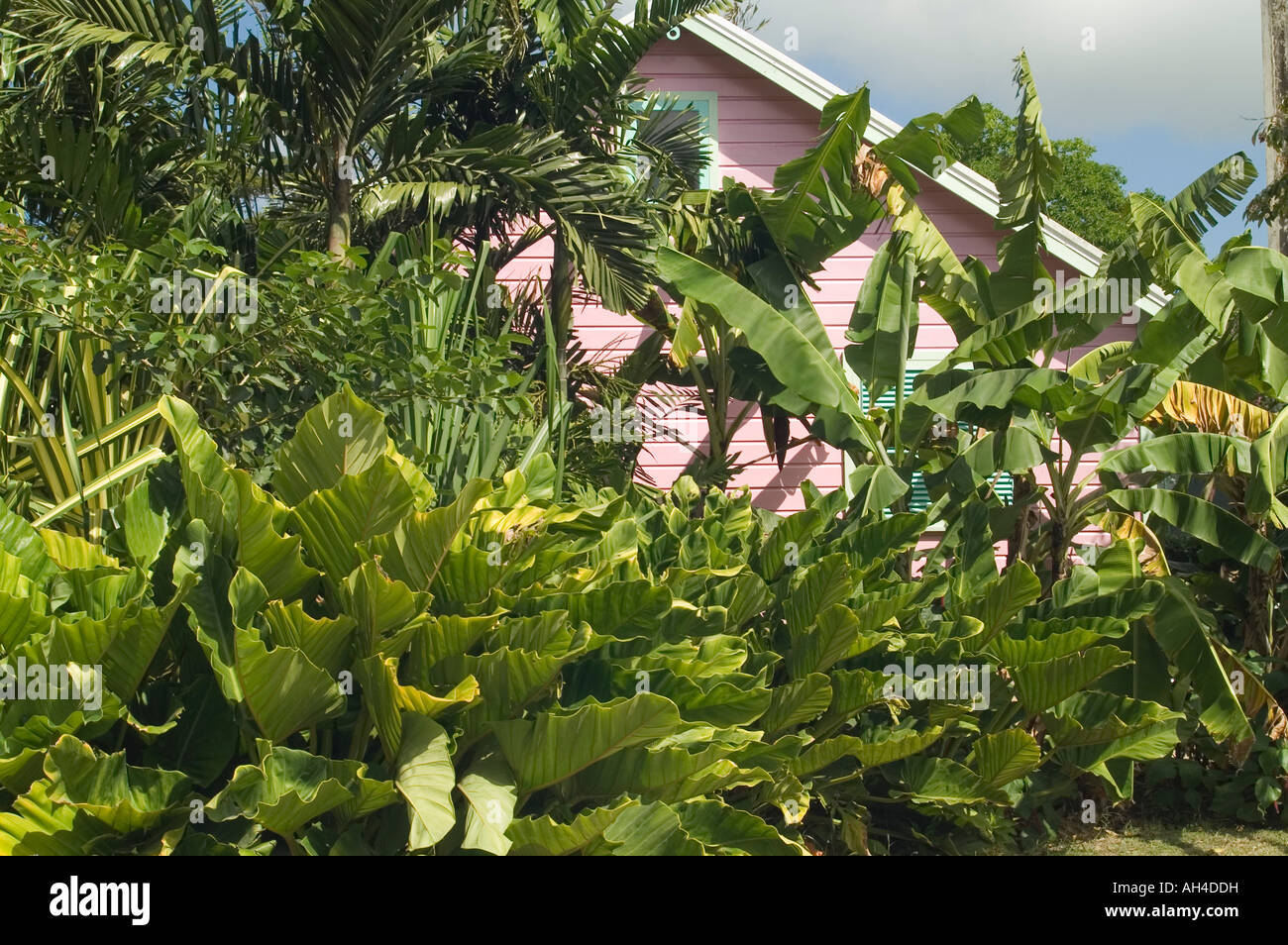 Chattel Houses, Chattel Village, Holetown, St James, Barbados Stock ...