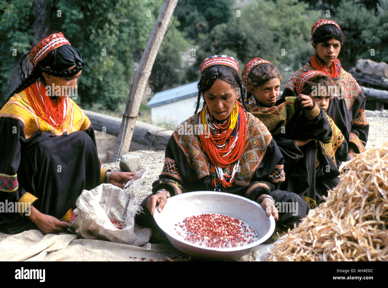 remote and unique Kalash tribal women sitting stripping corn cobs near ...