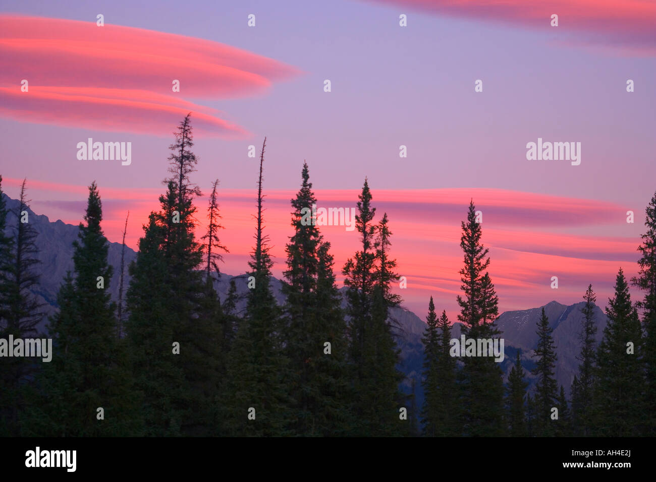 Sunset on forest and mountains Stock Photo - Alamy