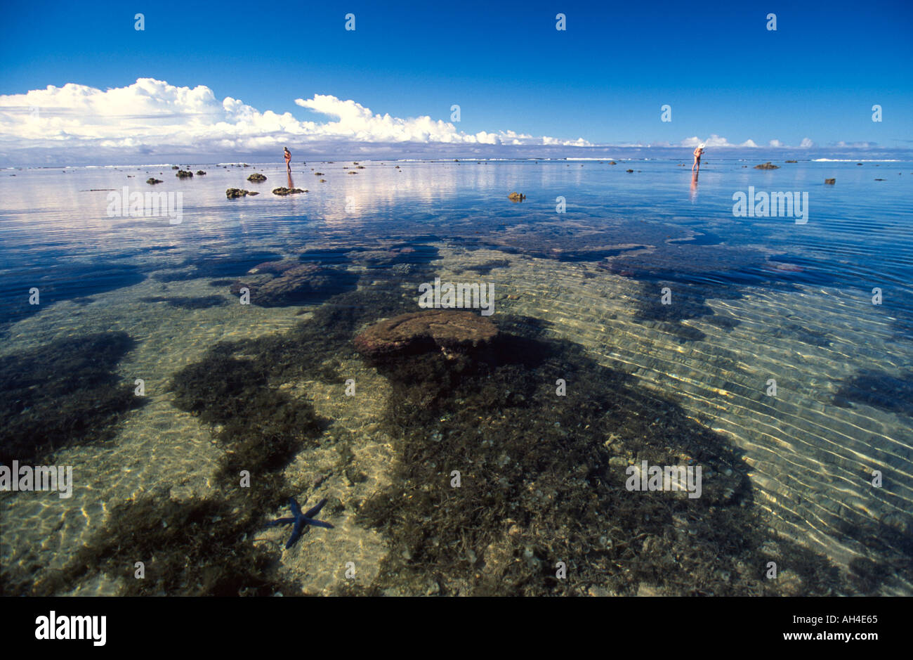 Rock pools in coral hi-res stock photography and images - Alamy