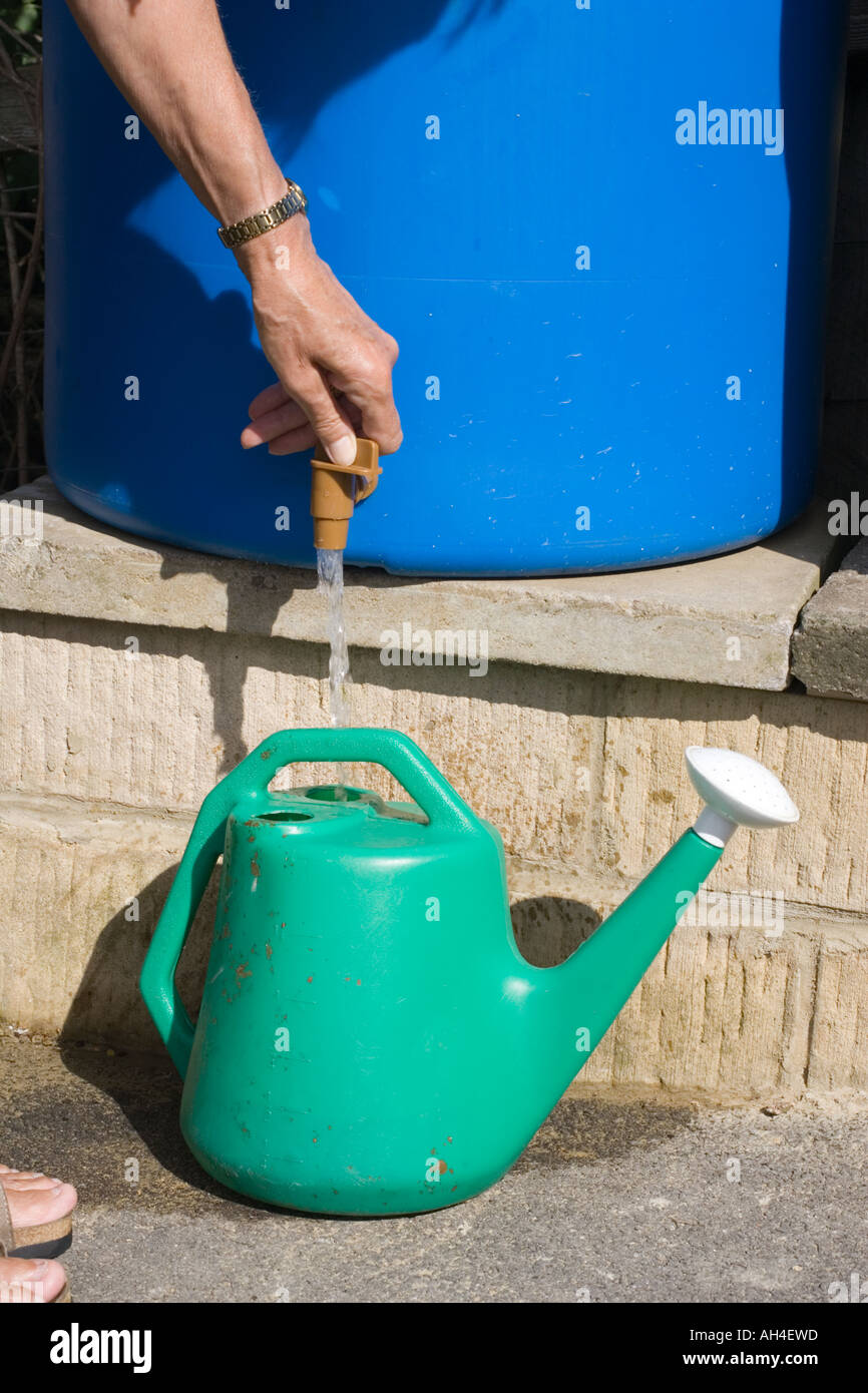 Hand on tap filling watering can from rain water butt Cotswolds UK ...