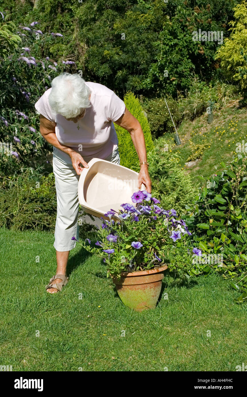 Woman using waste washing up water to water plants in garden Cotswolds ...