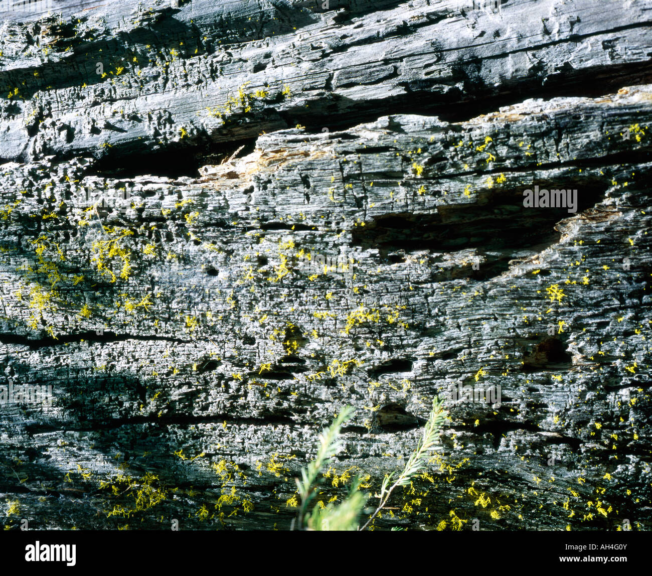 Rock stratification hi-res stock photography and images - Alamy