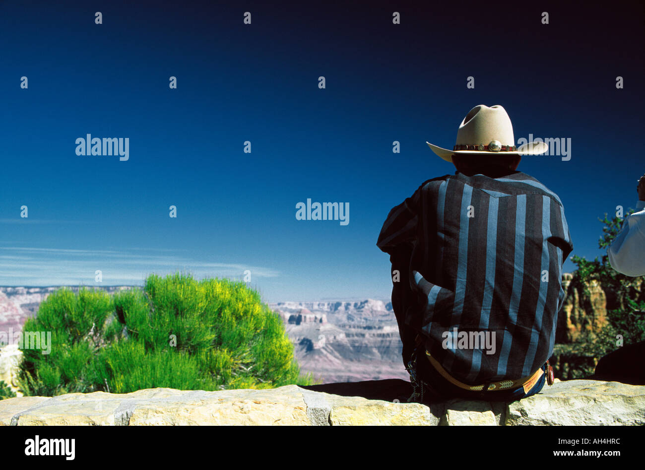 cowboy/ranger sitting and gazing at Grand Canyon, Colorado, USA Stock ...