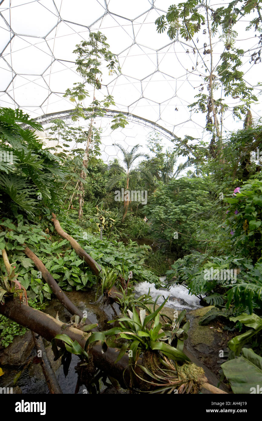 Tropical plants and waterfall in Humid Tropics Biome at the Eden ...
