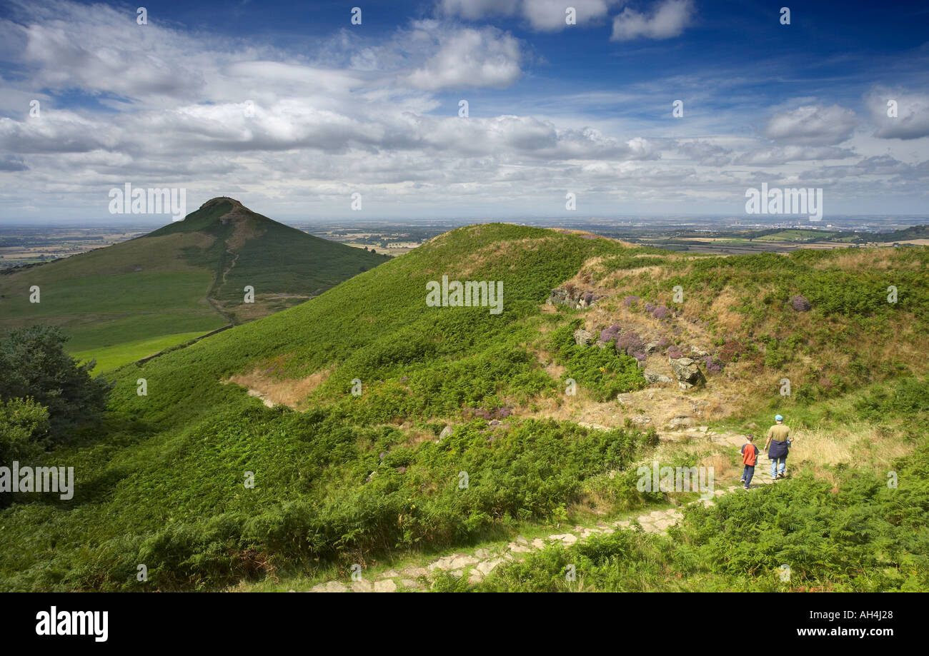 Roseberry Topping from Little Roseberry North Yorkshire Moors National ...