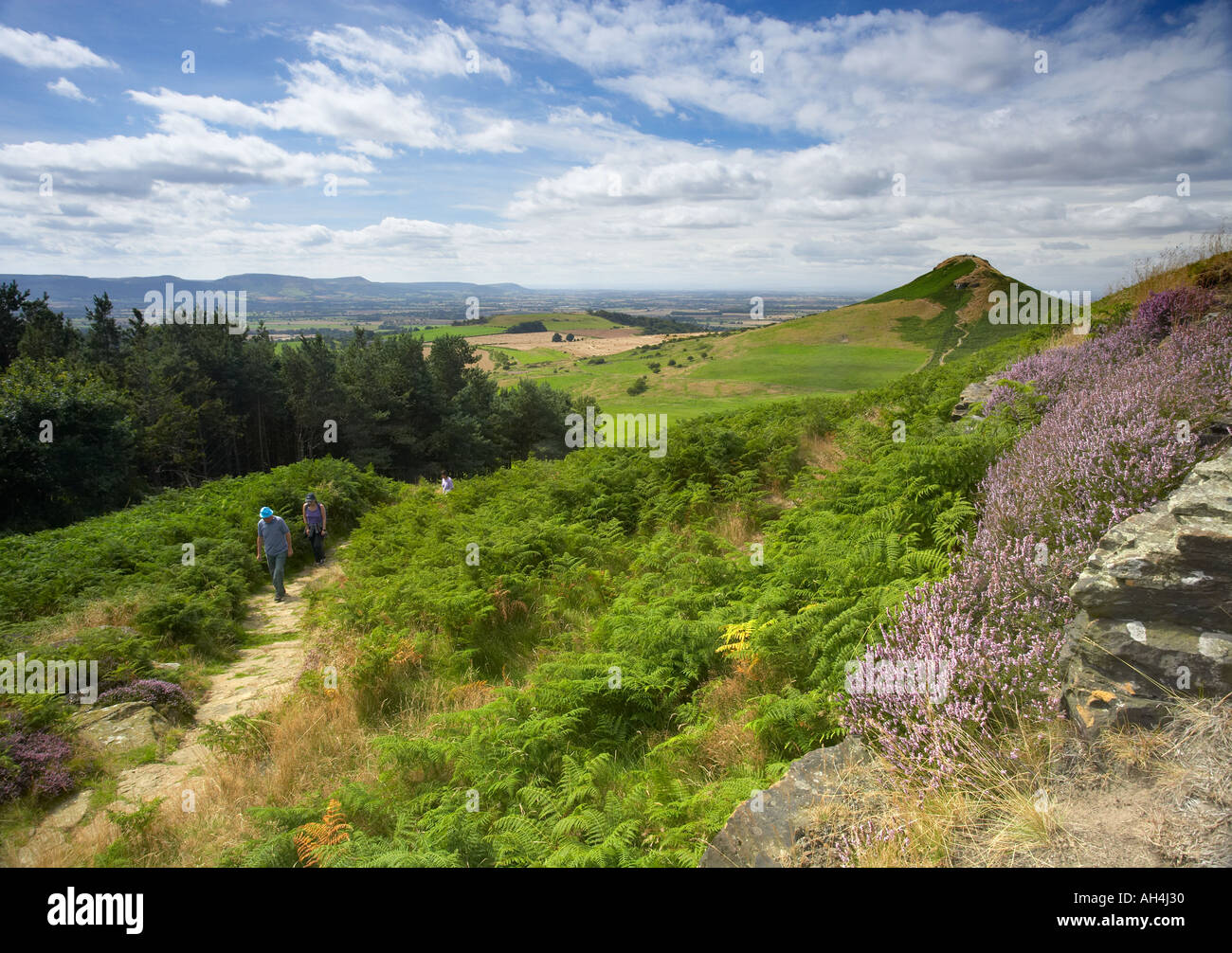 Roseberry Topping from Little Roseberry North Yorkshire Moors National ...