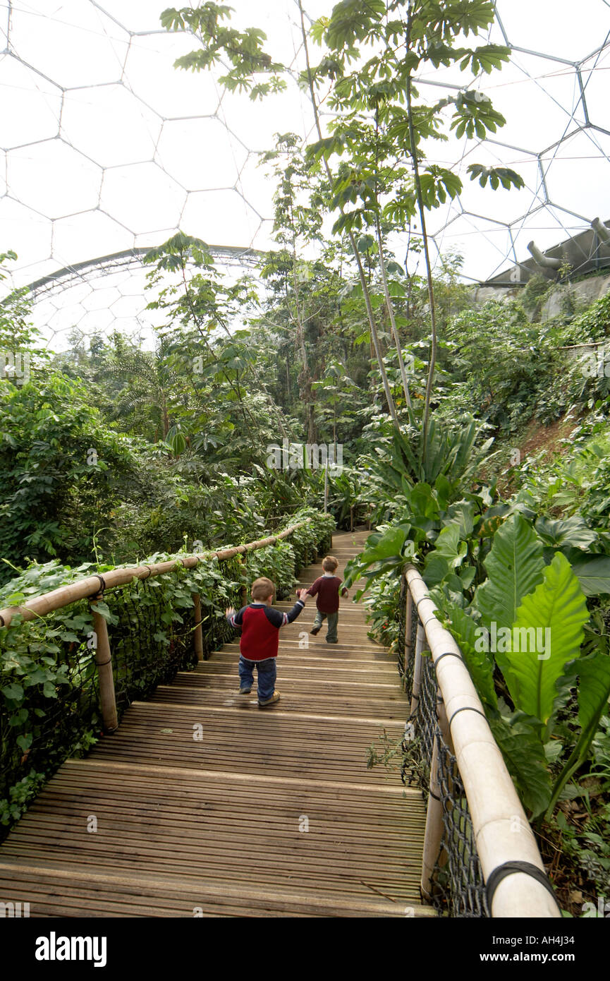 Tropical plants and children high up in Humid Tropics Biome at the Eden ...