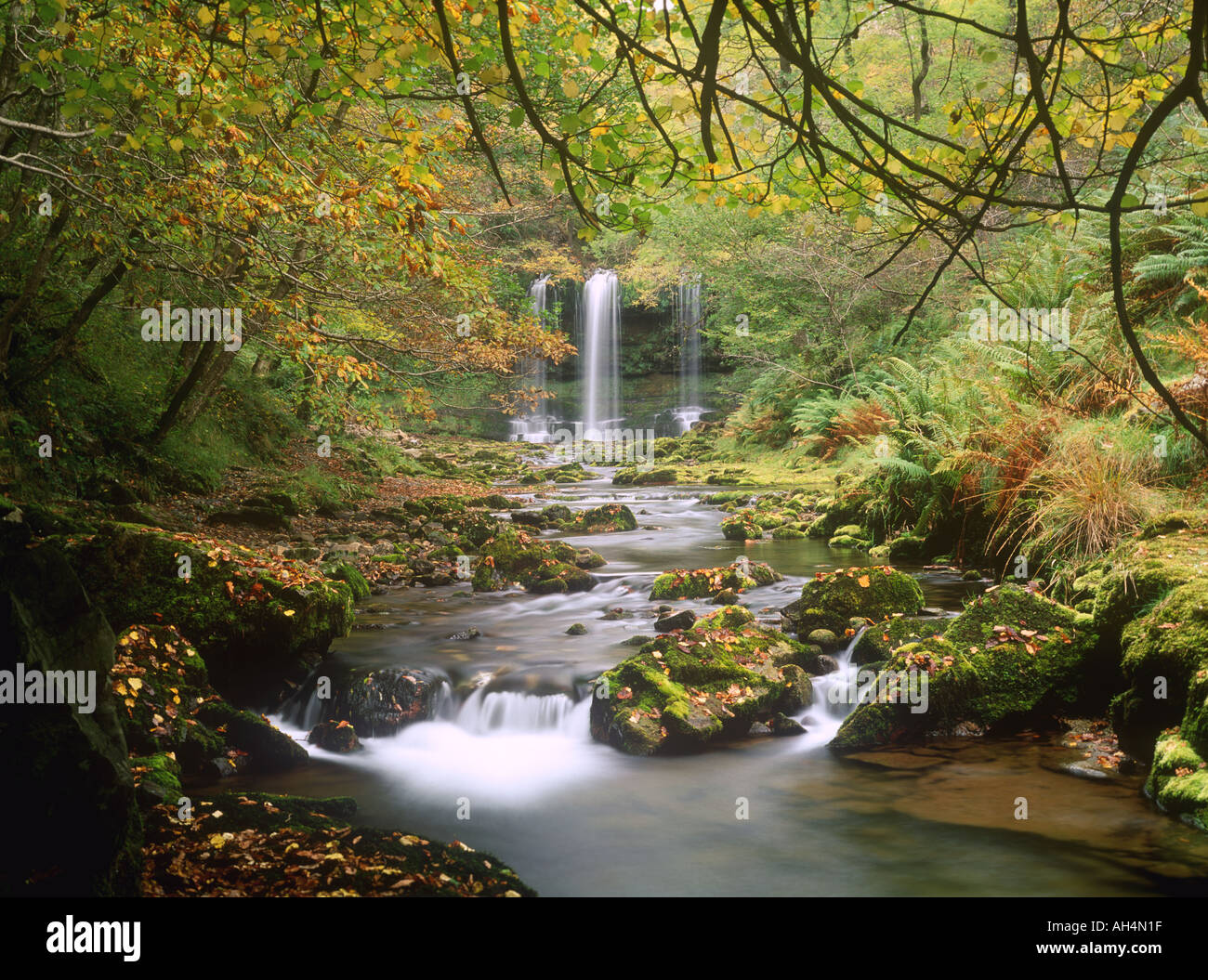 Cenarth waterfalls hi-res stock photography and images - Alamy