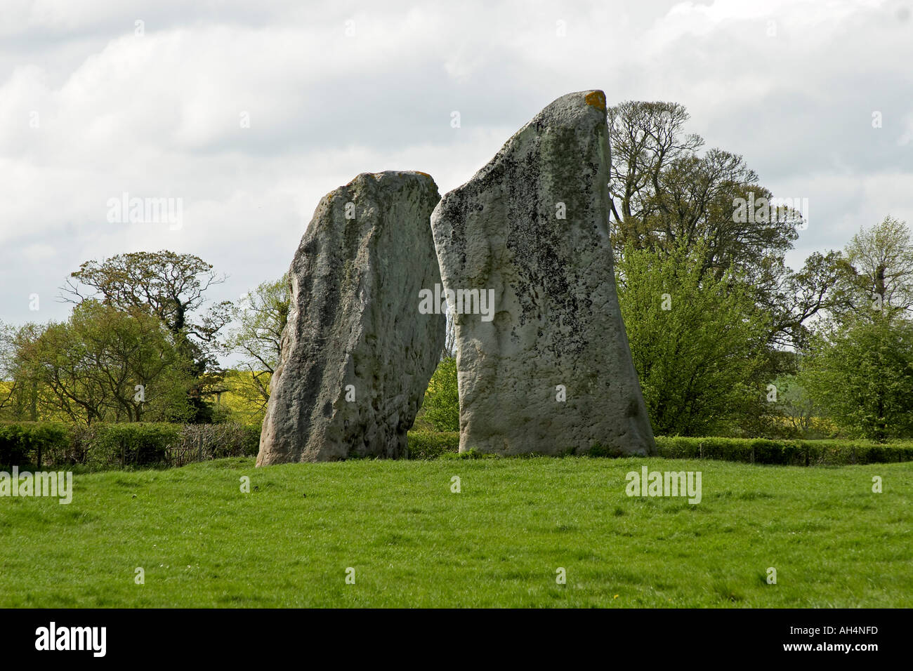 Two NEOLITHIC standing stones at Avebury Ring Stone Circle Wiltshire ...