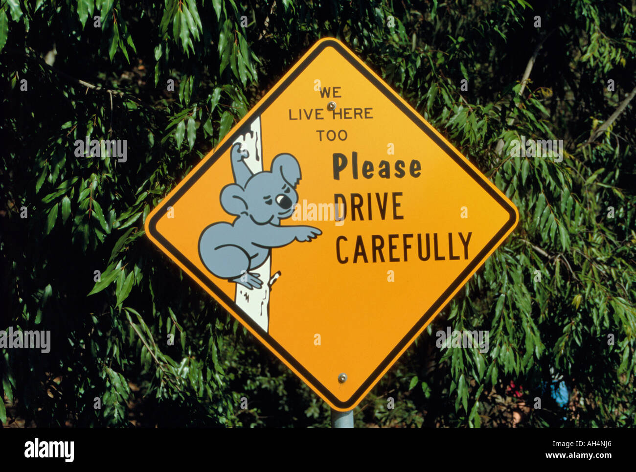 Koalas sign hi-res stock photography and images - Alamy