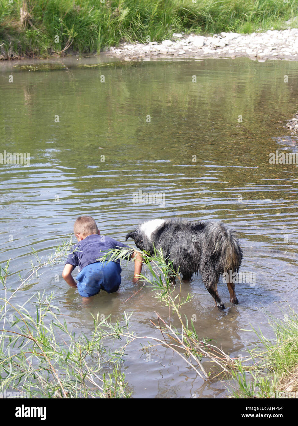 Look under stones hi-res stock photography and images - Alamy