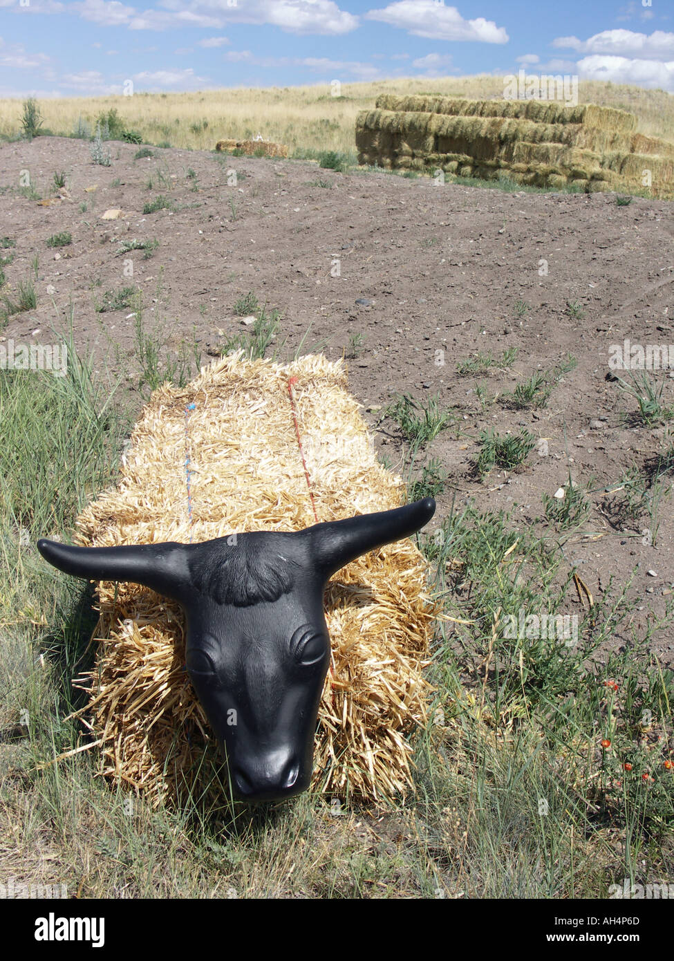 Fake cow hi-res stock photography and images - Alamy