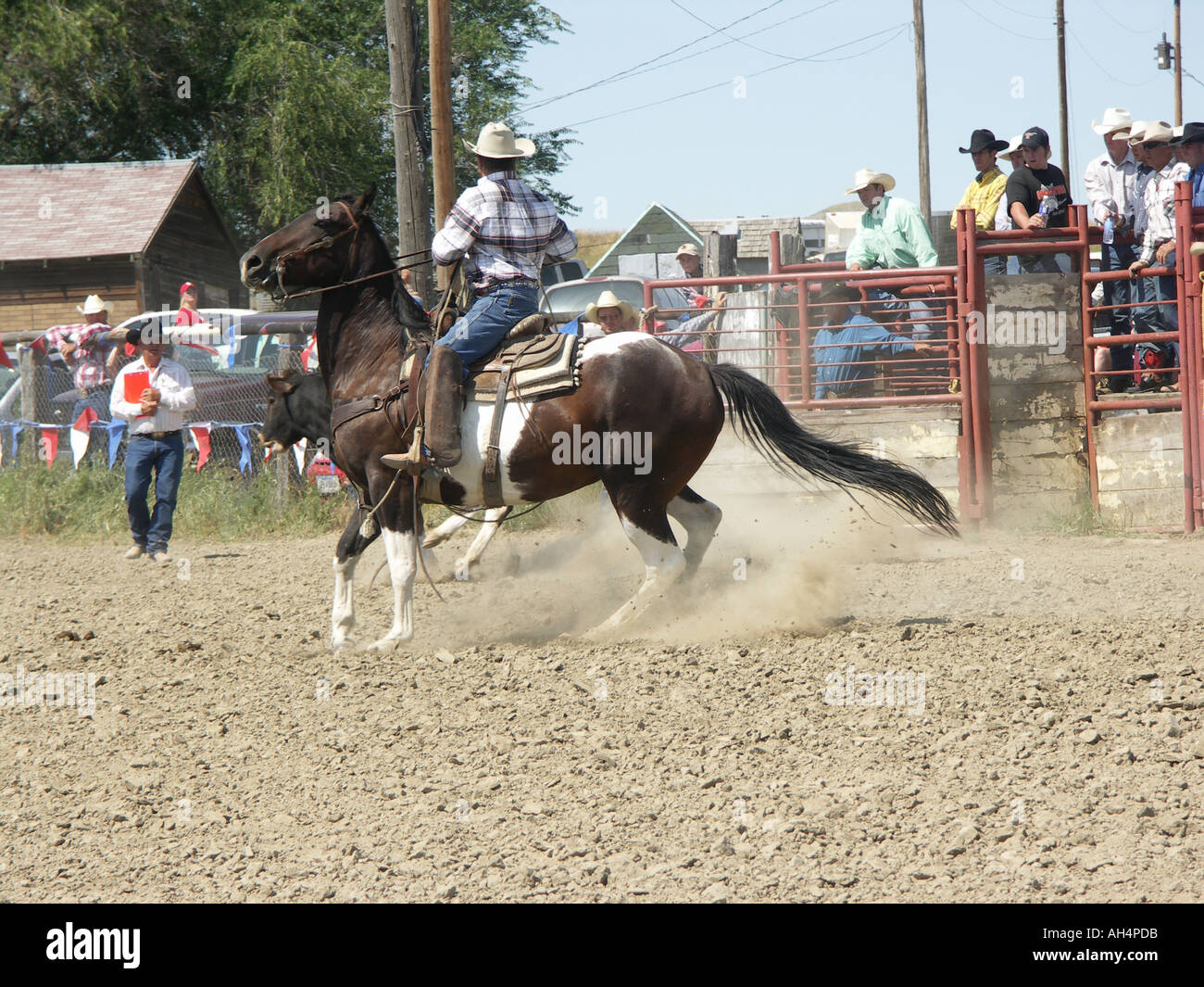 Rodeo style hi-res stock photography and images - Alamy