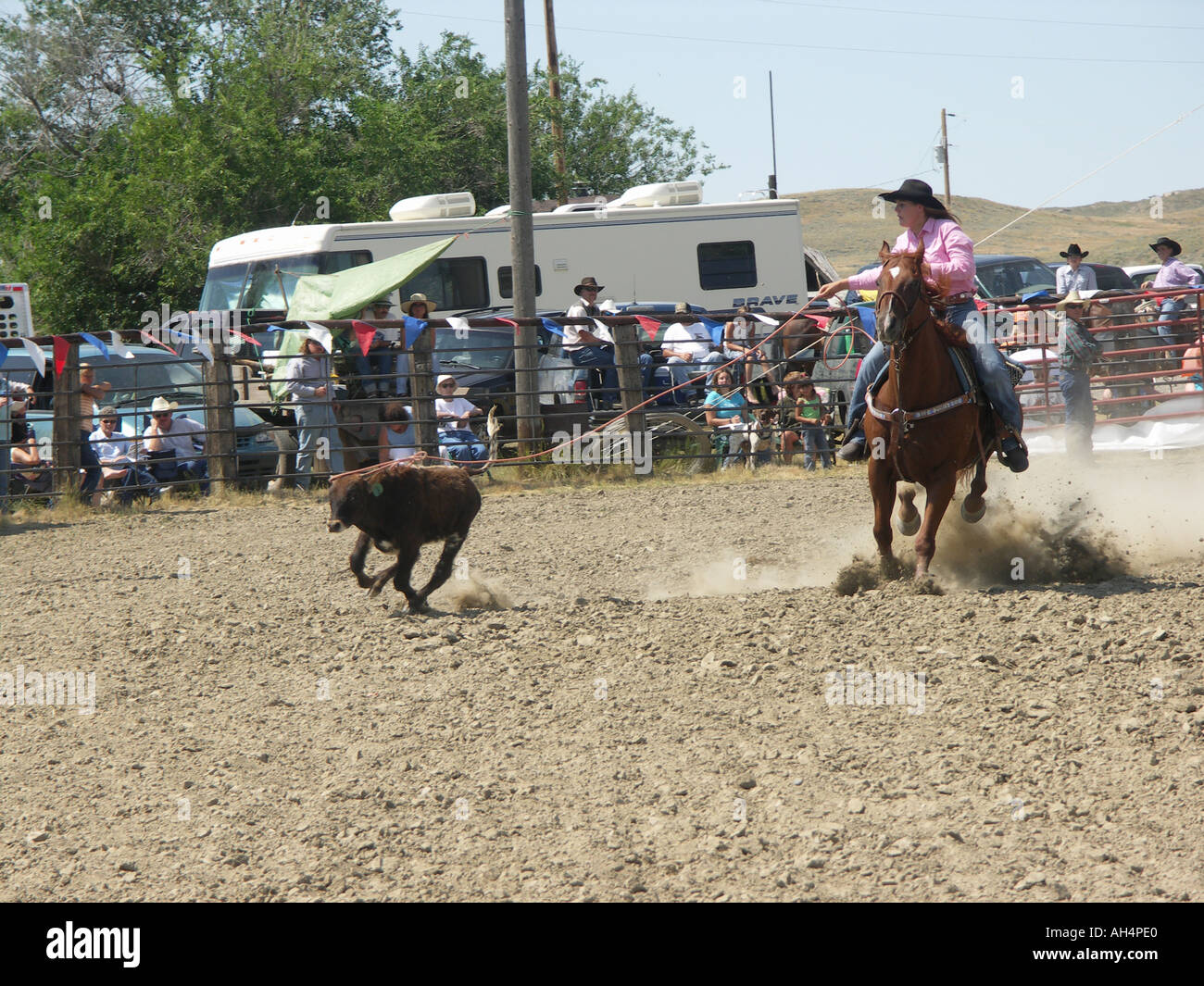 Woman calf roping hi-res stock photography and images - Alamy