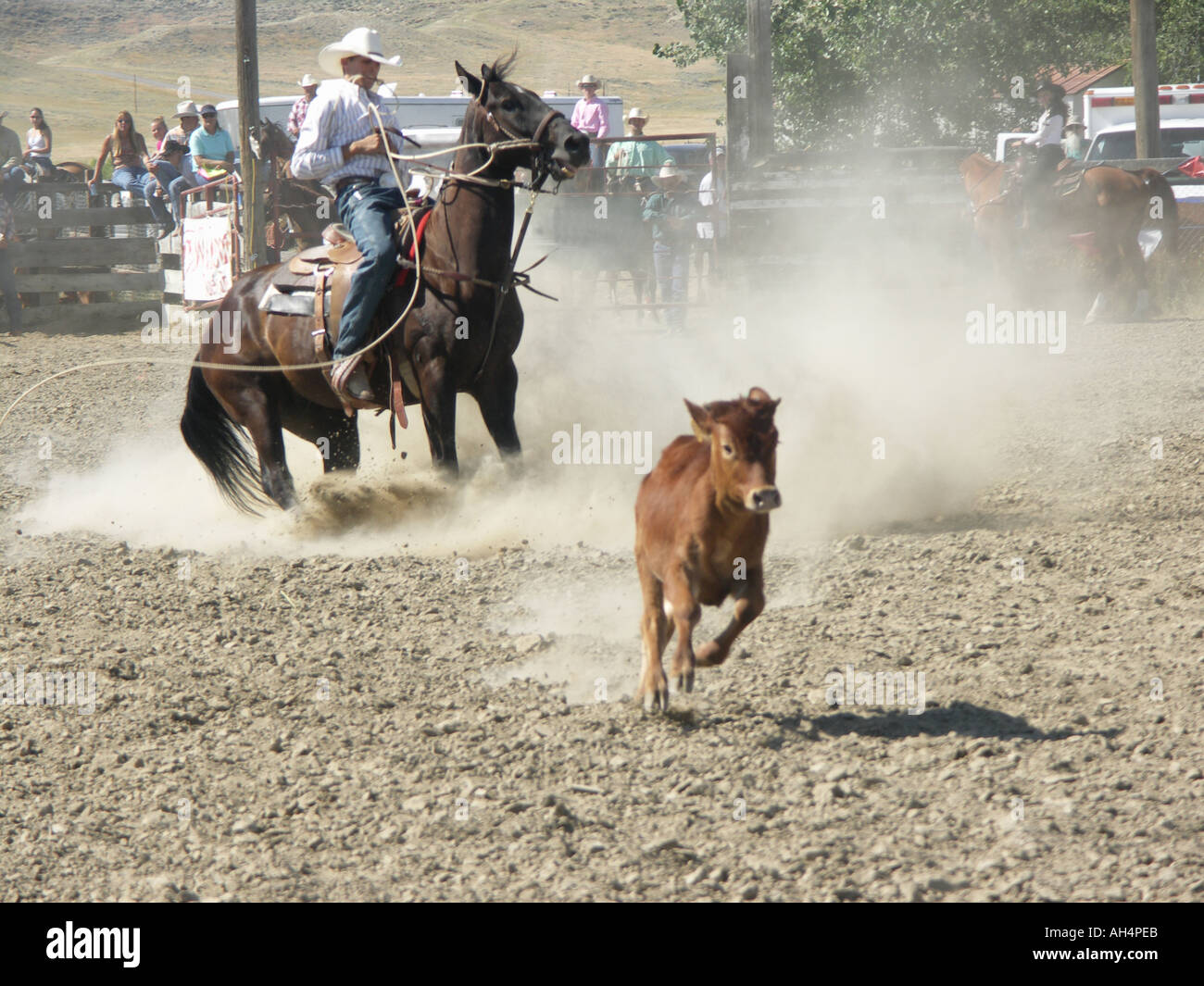 Back roping hi-res stock photography and images - Alamy