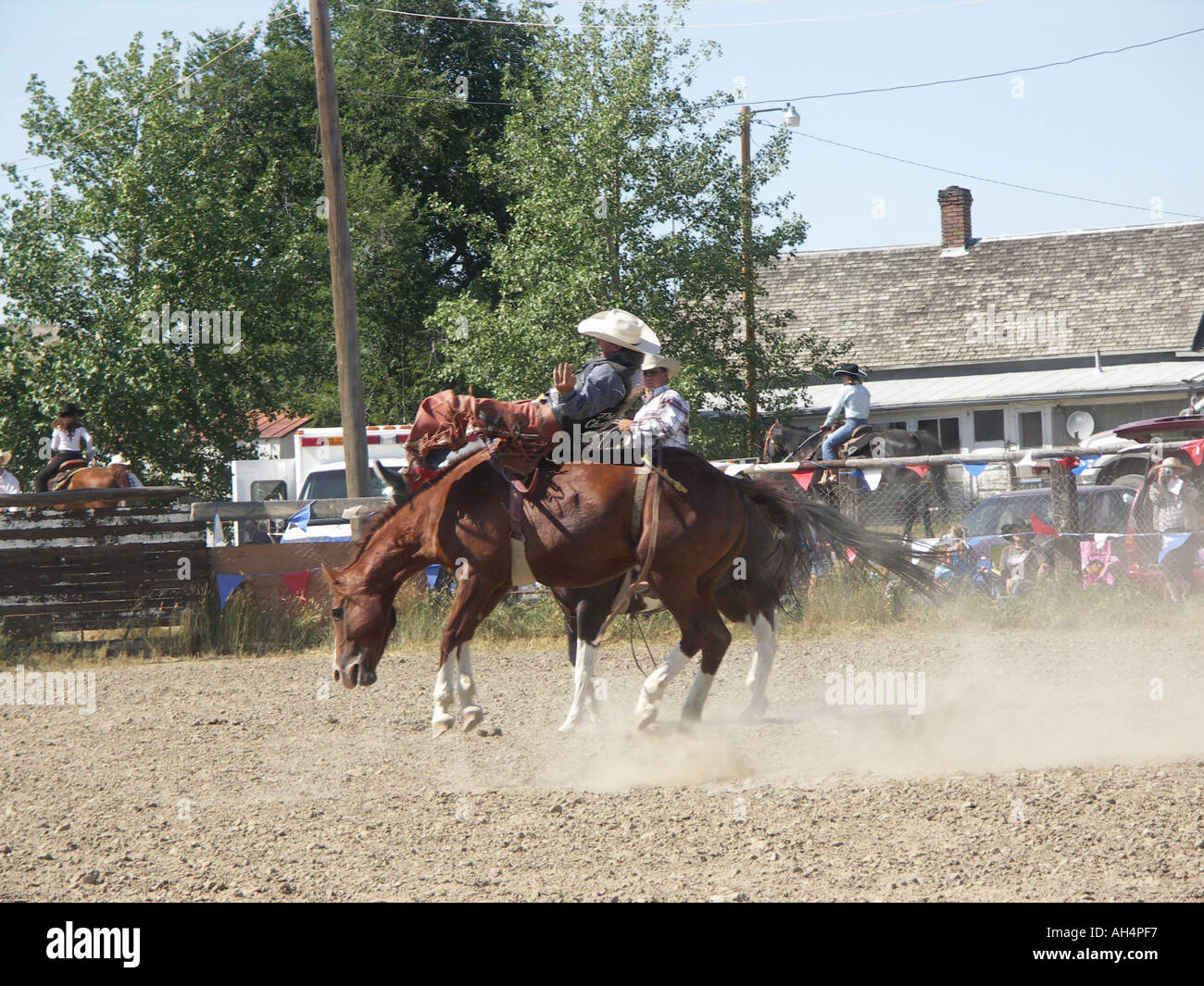 Bucking bronco ride hi-res stock photography and images - Alamy