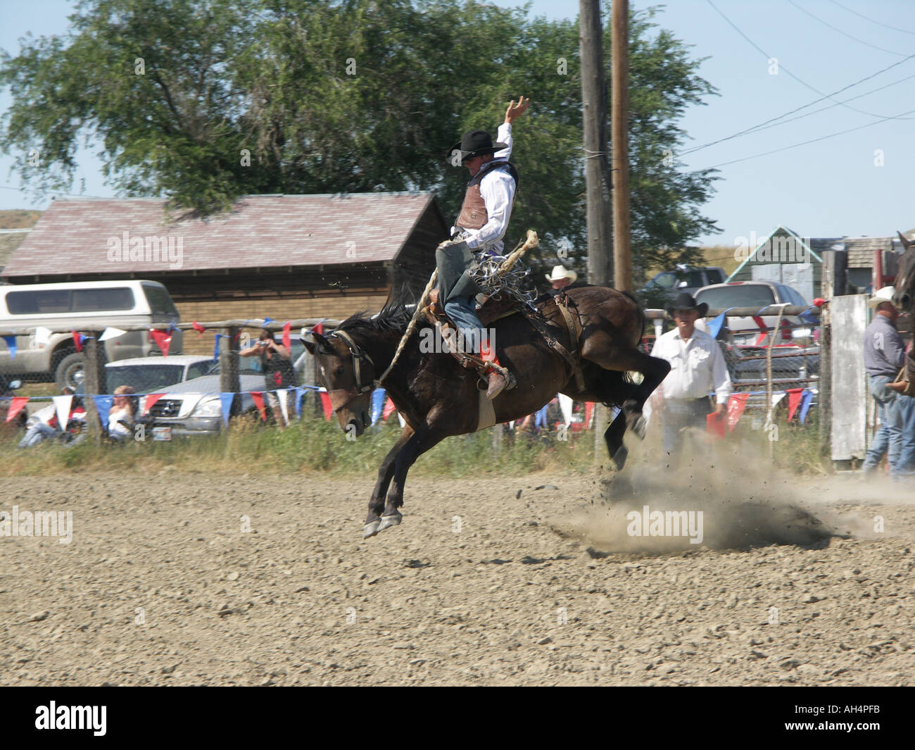 Bucking bronco ride hi-res stock photography and images - Alamy