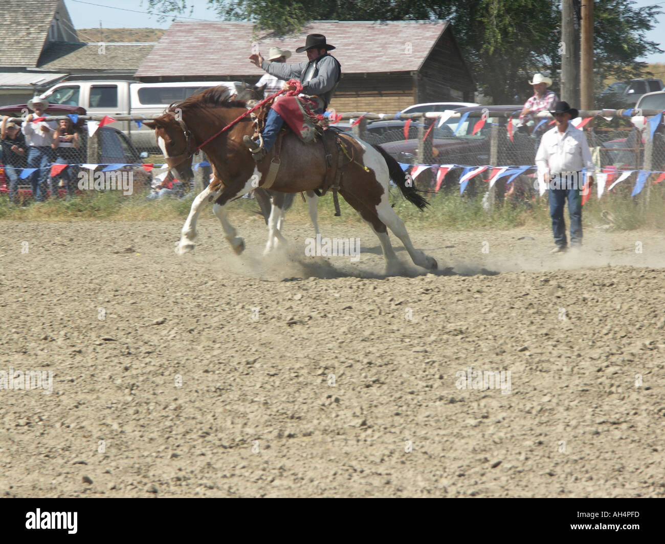 Bucking bronco ride hi-res stock photography and images - Alamy