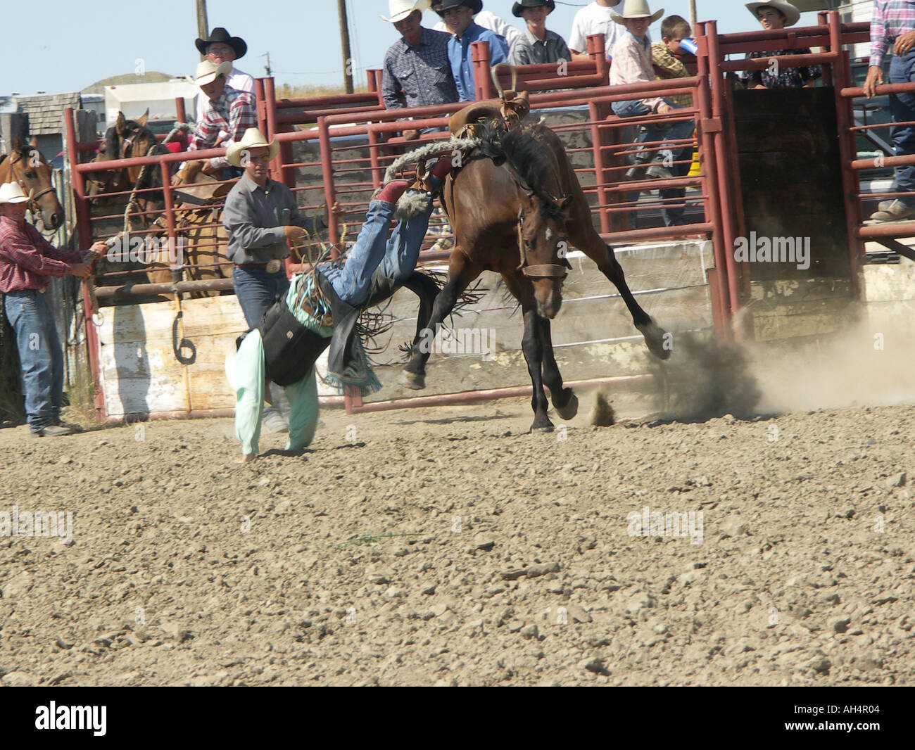 Man falling off bucking bronco hi-res stock photography and images - Alamy