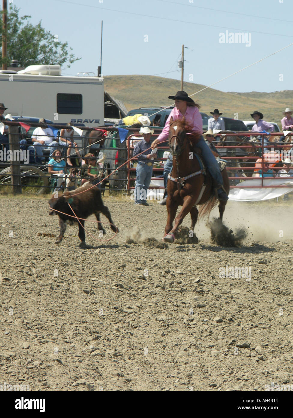 Cowgirl roping hi-res stock photography and images - Alamy