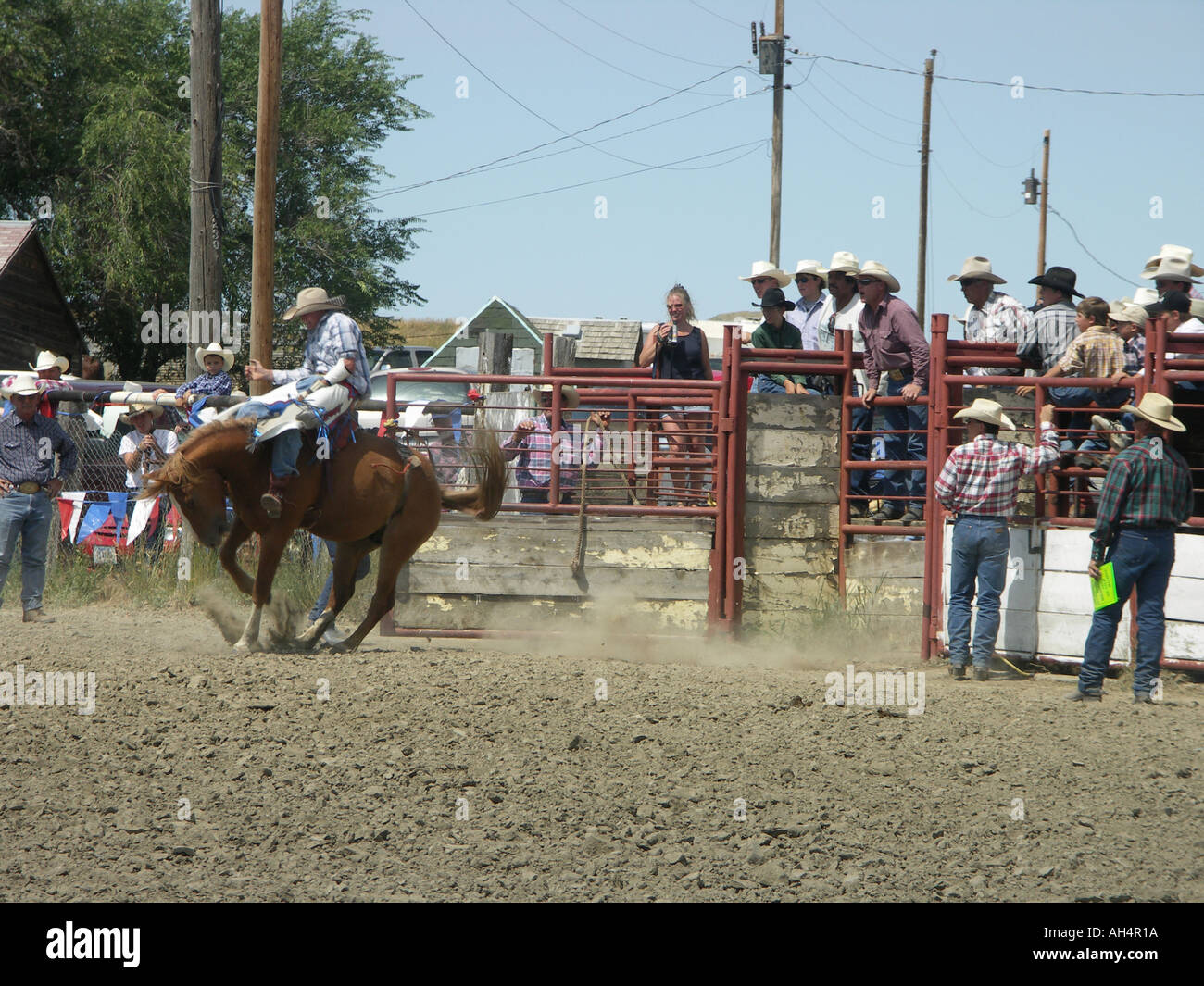 Buck jump hi-res stock photography and images - Alamy