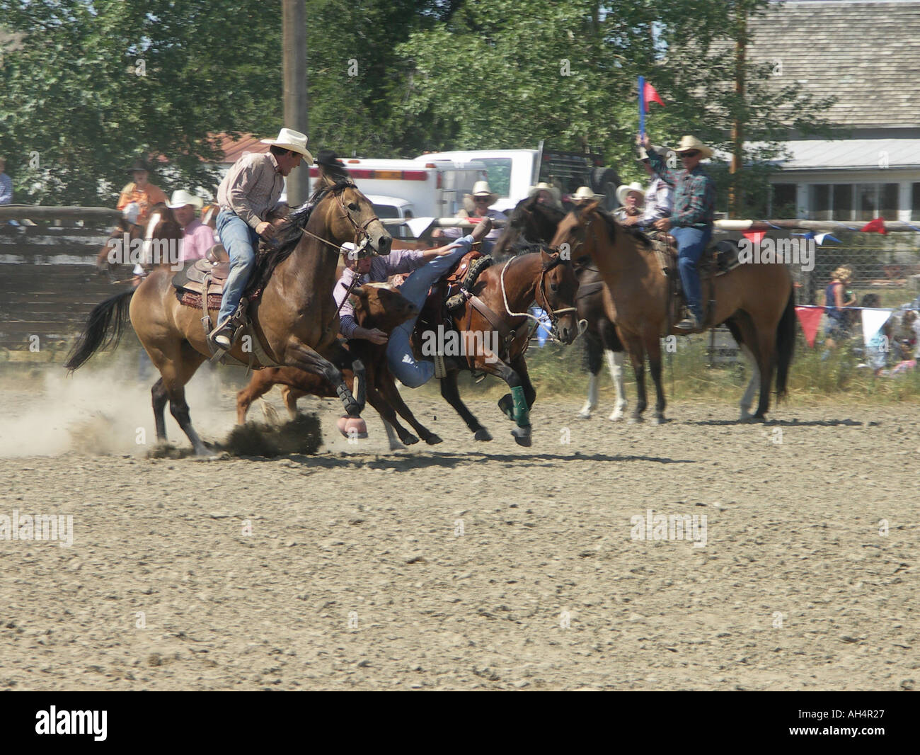 Falling off a Horse Stock Photo - Alamy