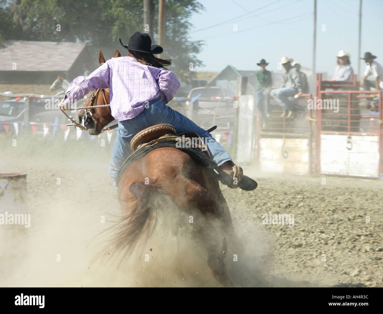 Rear view of barrel racing horse hi-res stock photography and images ...
