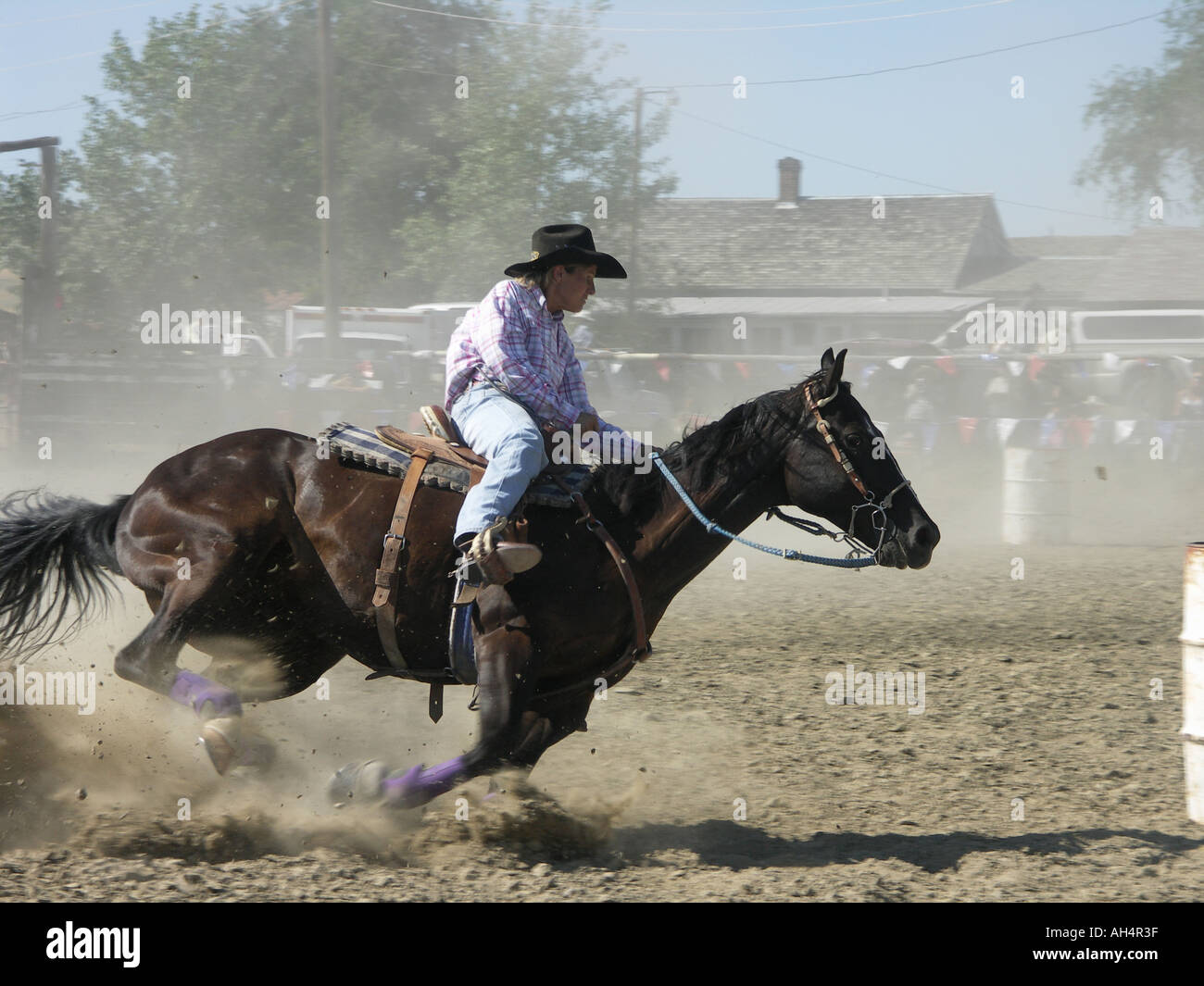 Barrel racer hi-res stock photography and images - Alamy