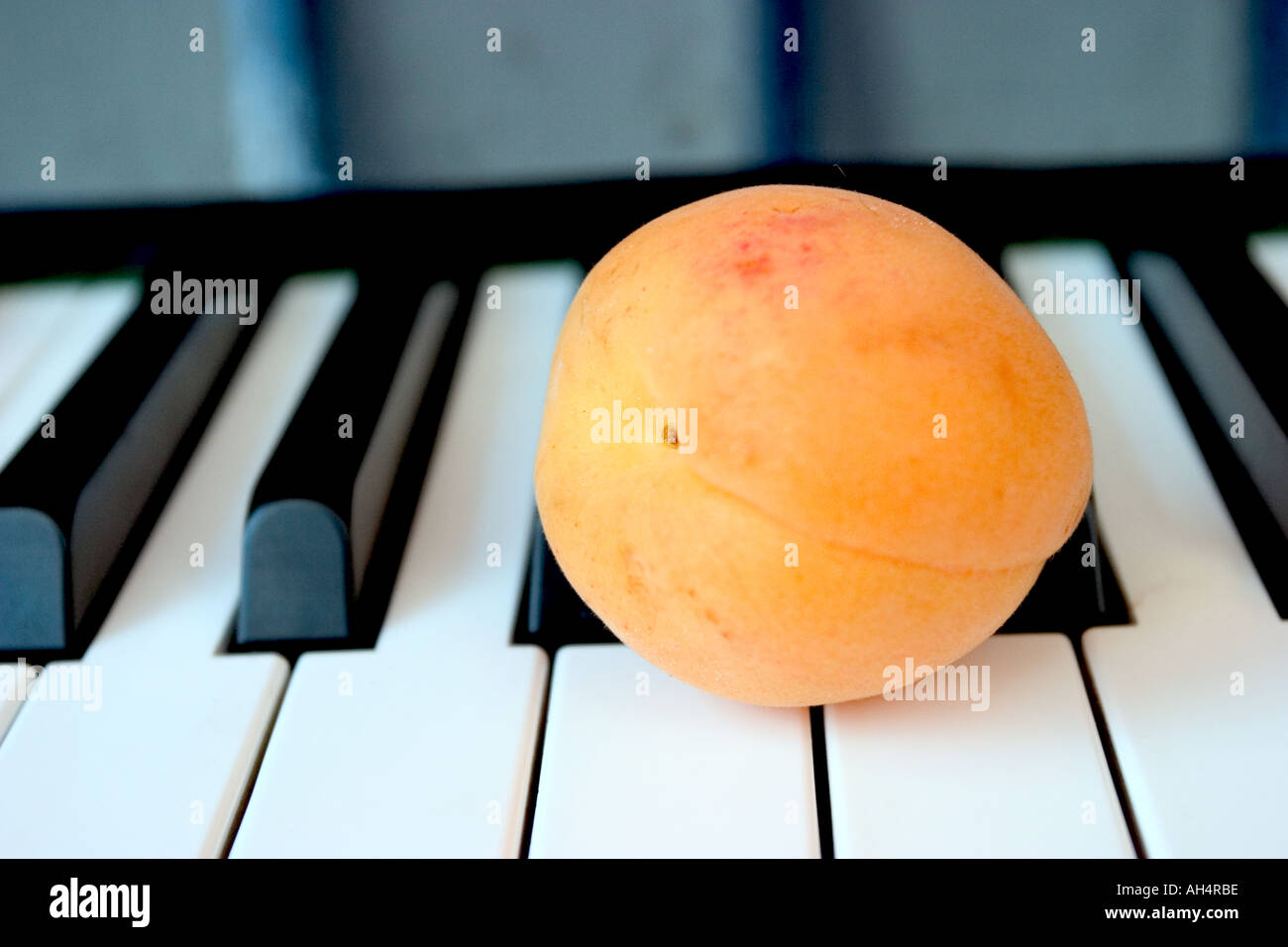 Piano keyboard close up with alone apricot Stock Photo - Alamy