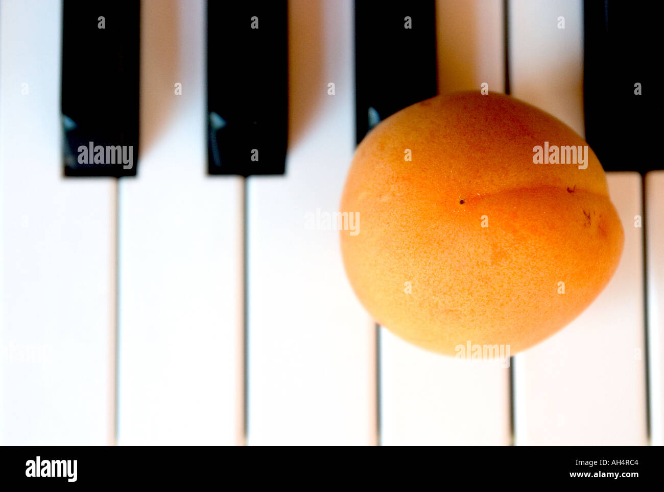 Real ivory piano keys hi-res stock photography and images - Alamy