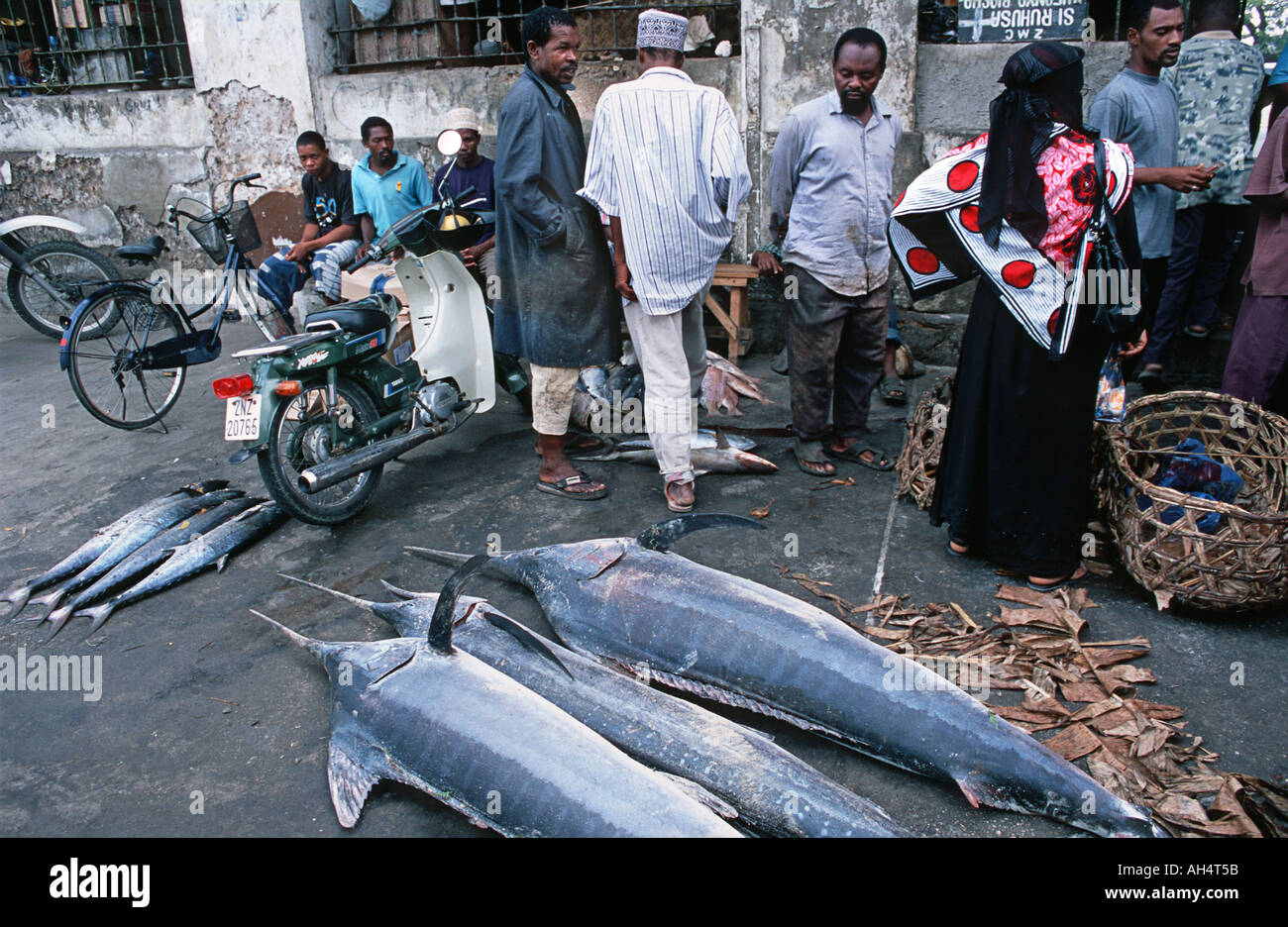 Mercato marlin hi-res stock photography and images - Alamy