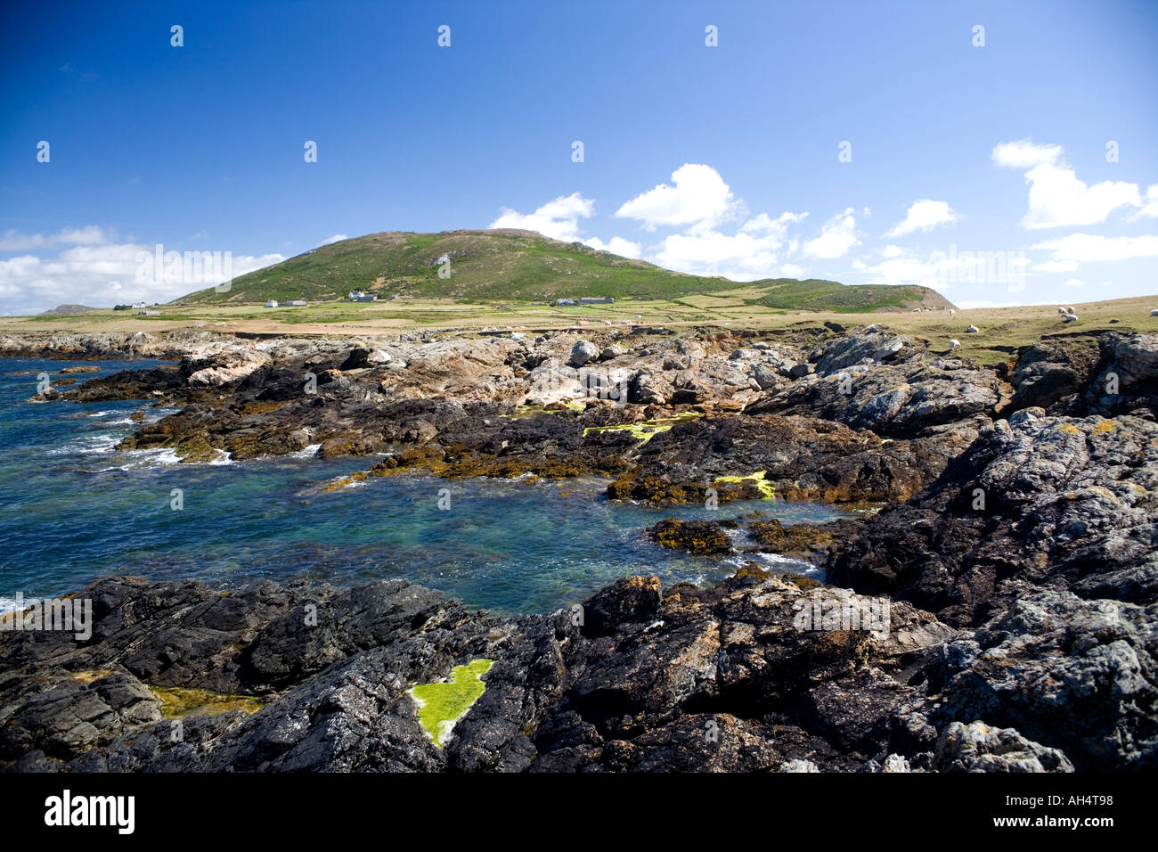 Enlli hi-res stock photography and images - Alamy