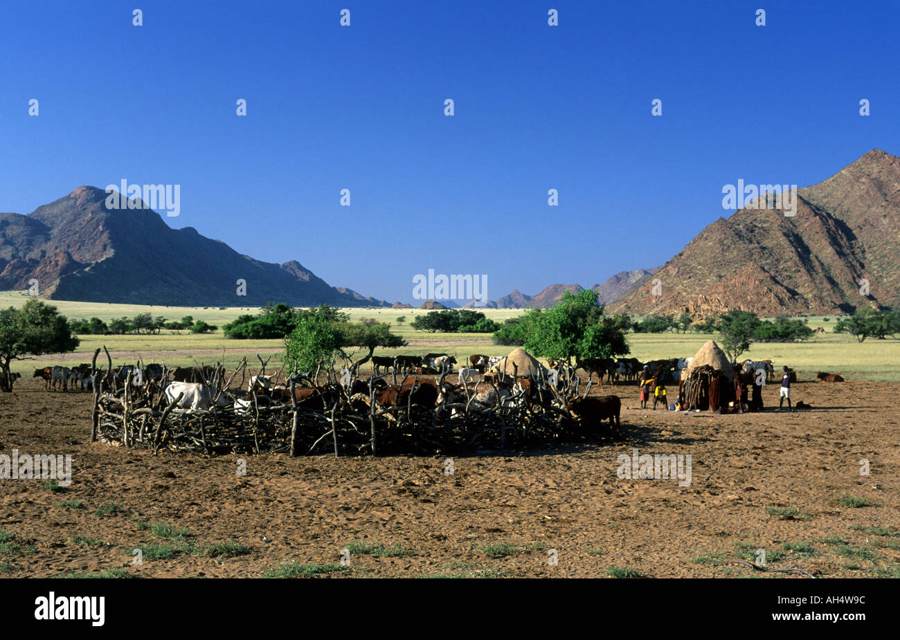 Himba Settlement Kaokoveld Namibia Stock Photo - Alamy