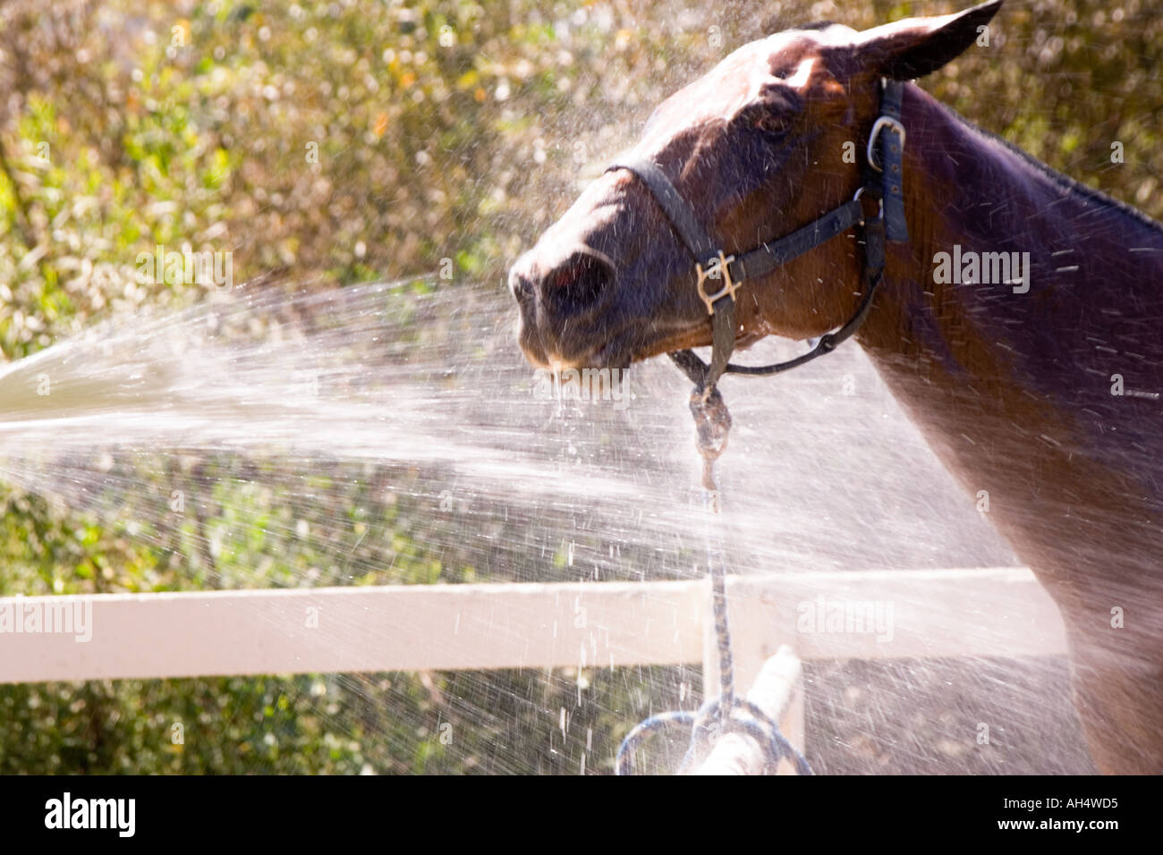It s for your own good Stock Photo - Alamy