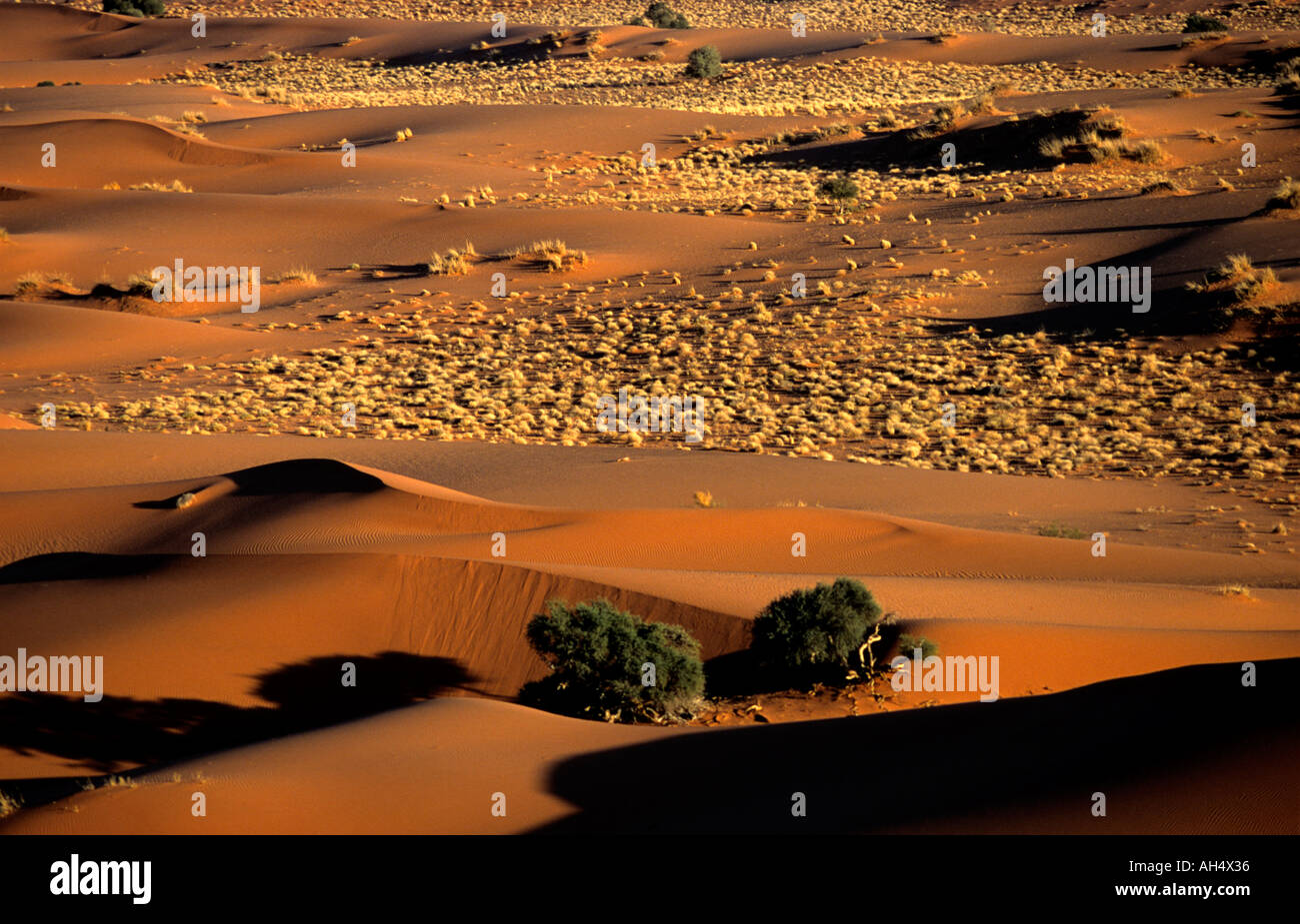 Dunes Kalahari Desert Namibia Stock Photo - Alamy