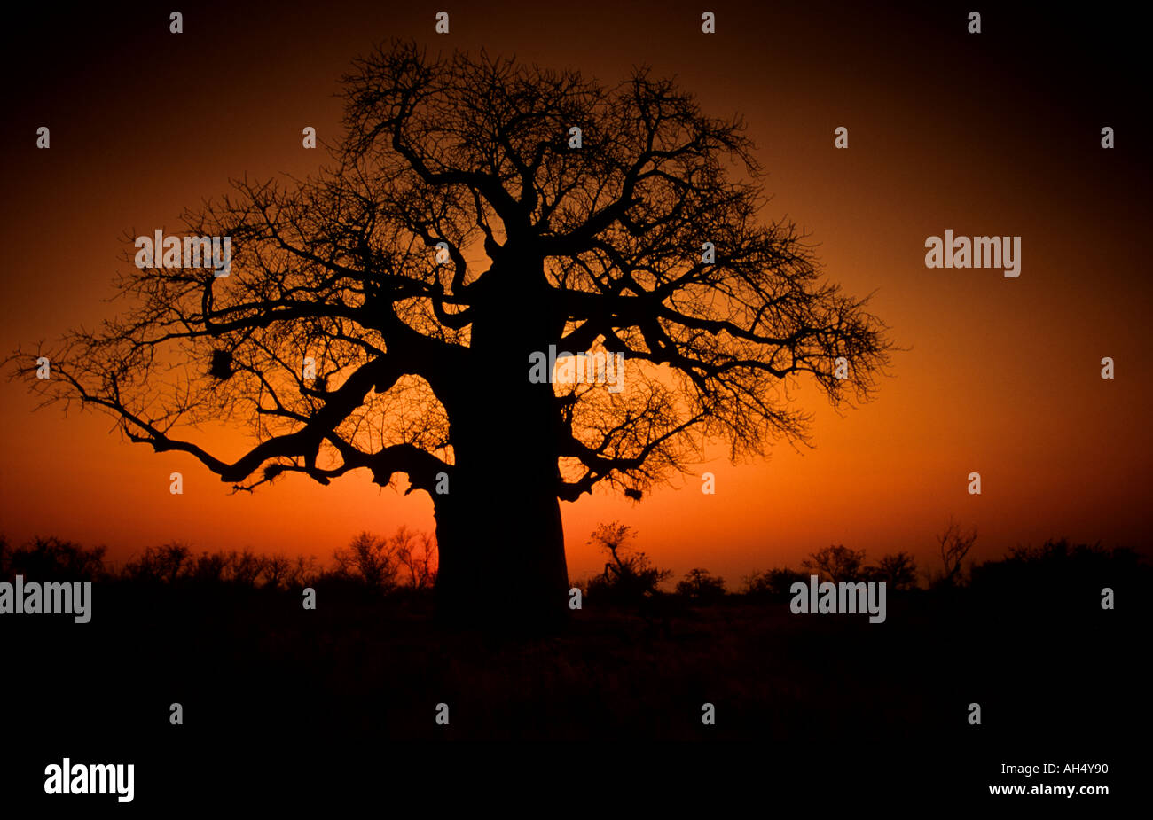 Bushmanland hi-res stock photography and images - Alamy