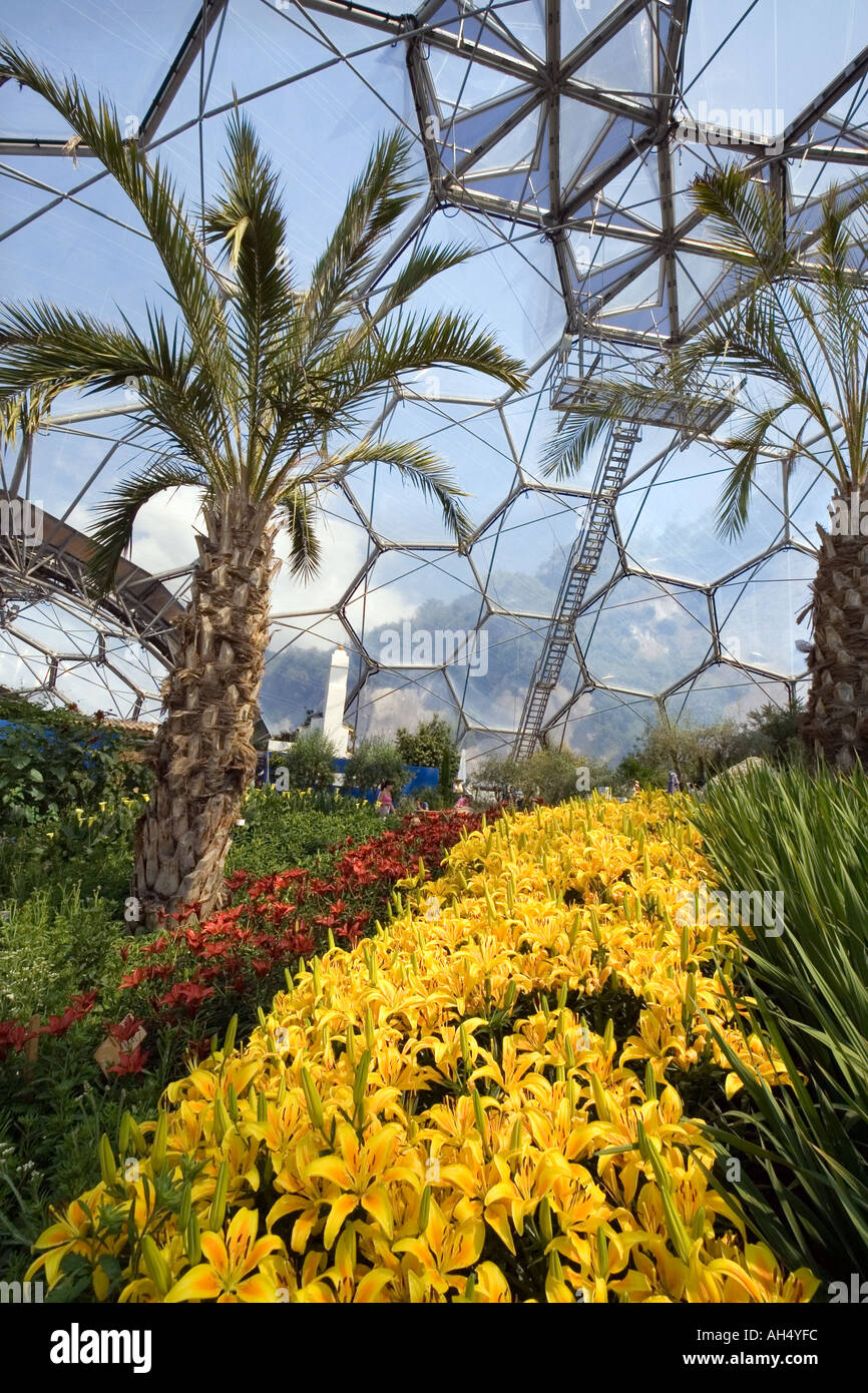 Warm temperate biome hi-res stock photography and images - Alamy